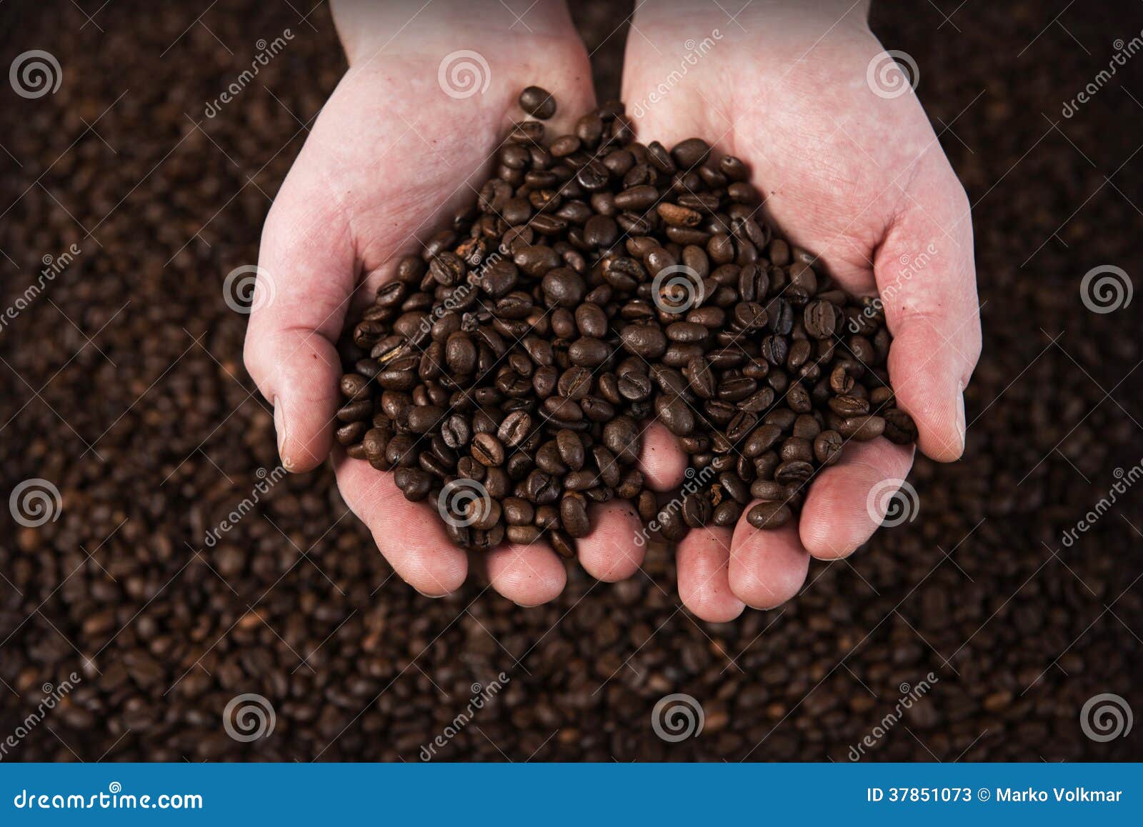 A hand full coffee stock image. Image of brown, commercial - 37851073