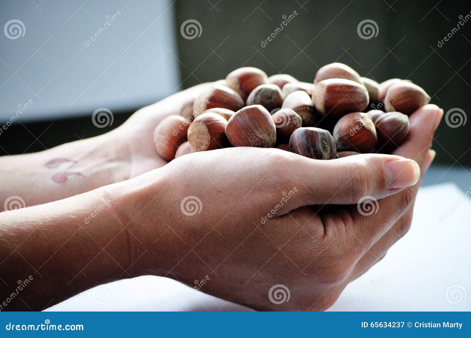 Hand full of hazelnuts stock image. Image of fruit, backgrounds - 65634237