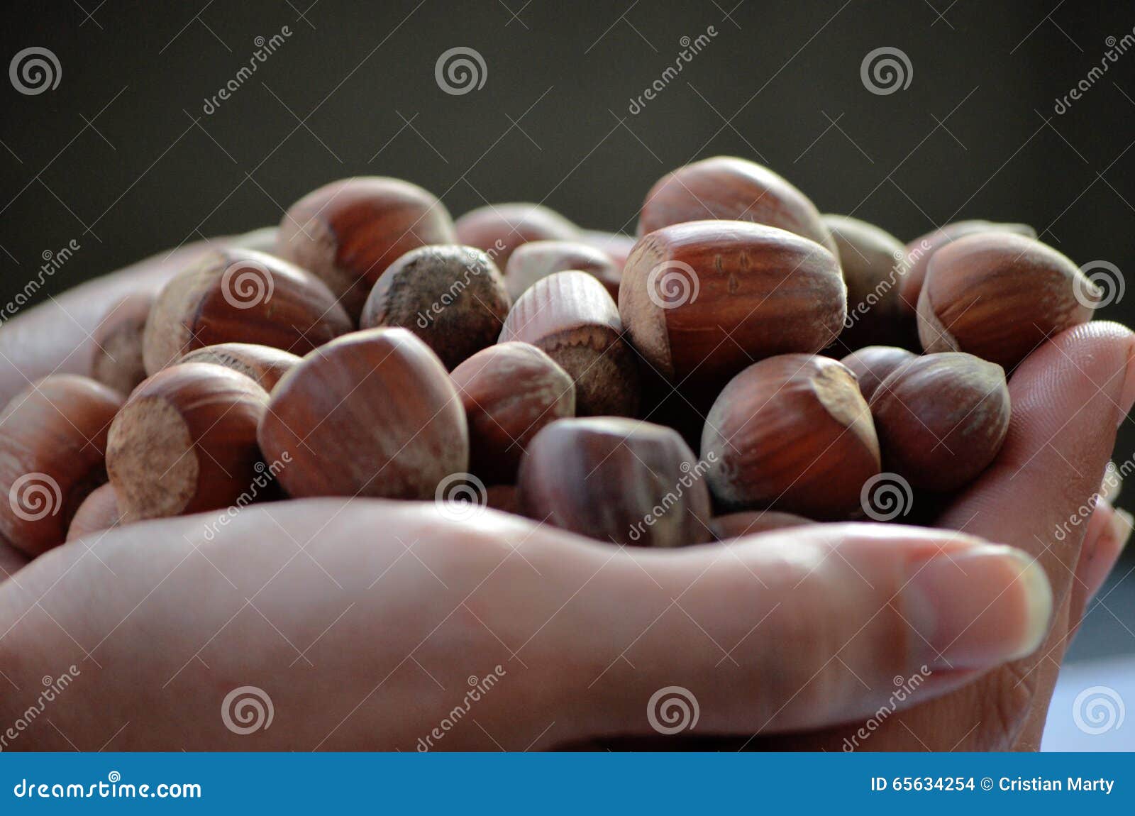 Hand full of hazelnuts stock photo. Image of fruit, collor - 65634254