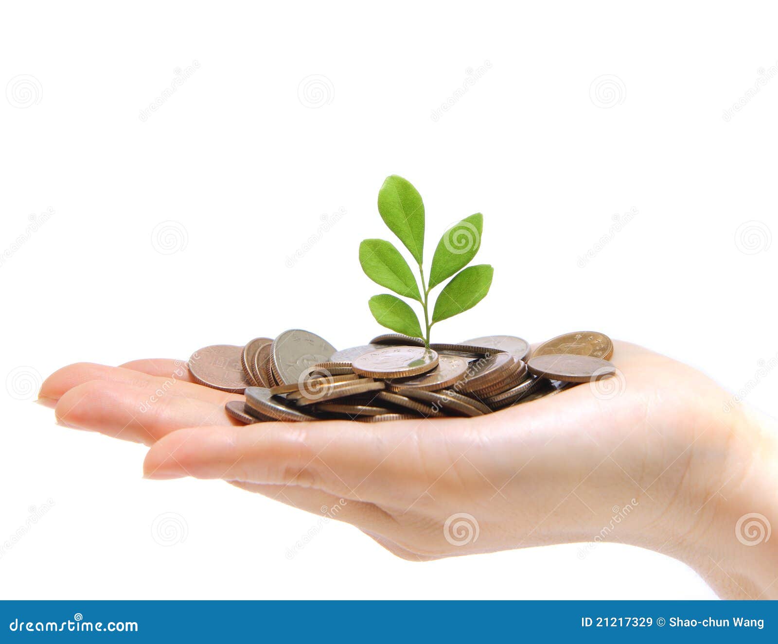 A Hand Full of Money and Holding a Tree Stock Image - Image of interest ...