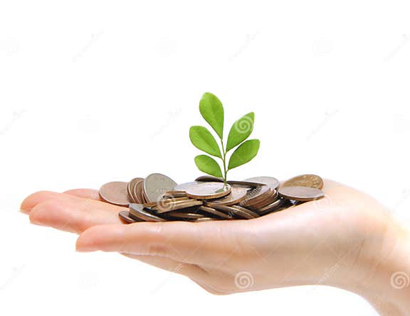 A Hand Full of Money and Holding a Tree Stock Image - Image of interest ...