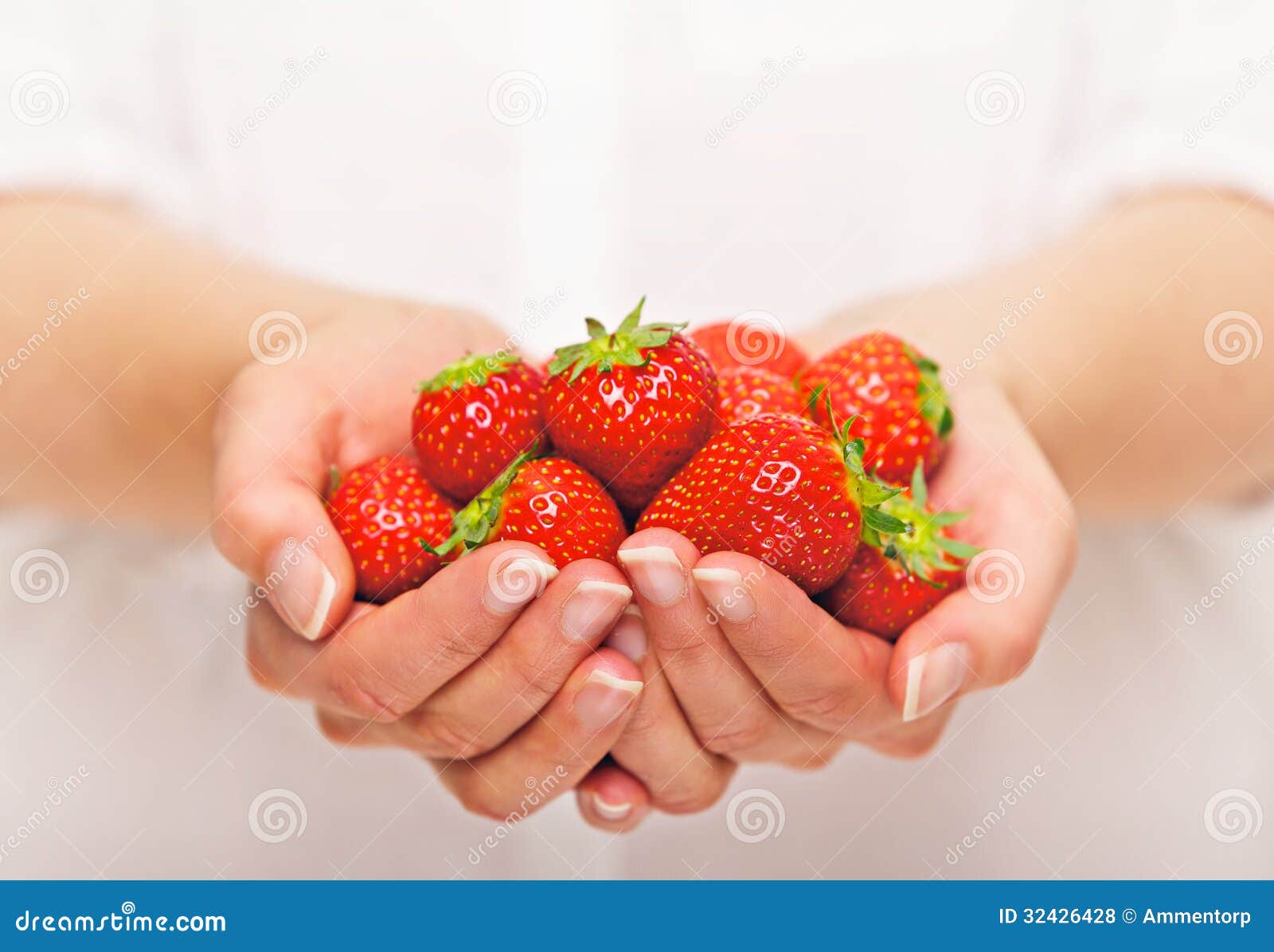 Hand Full of Strawberries stock photo. Image of handful - 32426428