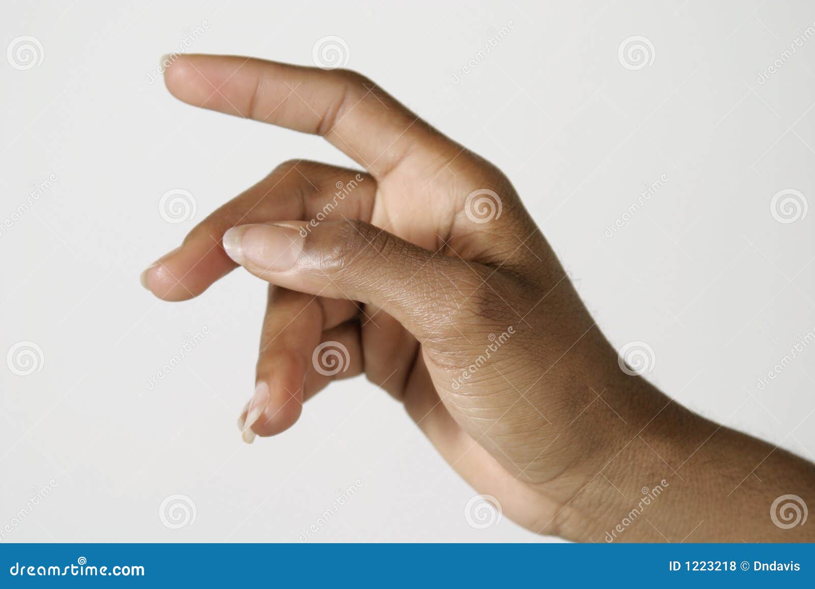 Hand Gesture stock photo. Image of hand, language, gesture - 1223218