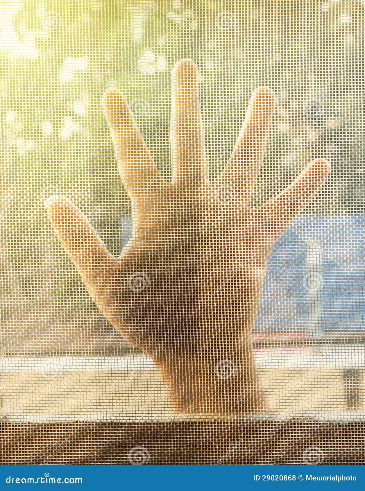 Hand gesture communicate stock photo. Image of human - 29020868