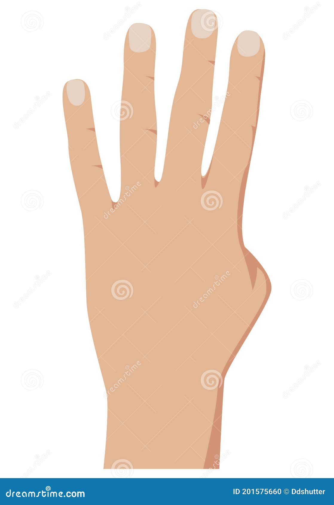 Hand Gesture Counting Four, Realistic Counting Hand Illustration ...