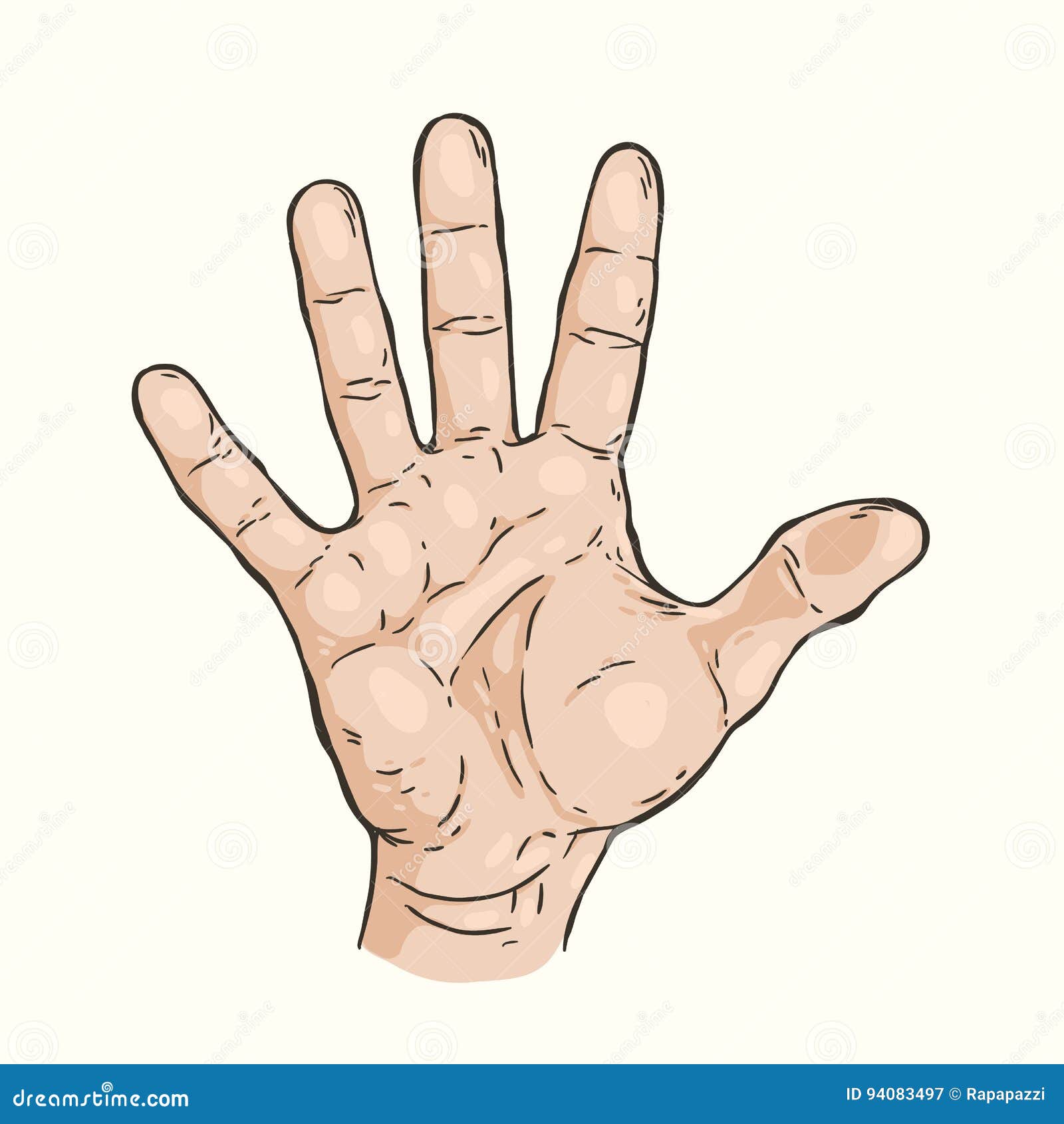 Hand gesture Five fingers stock vector. Illustration of isolated - 94083497