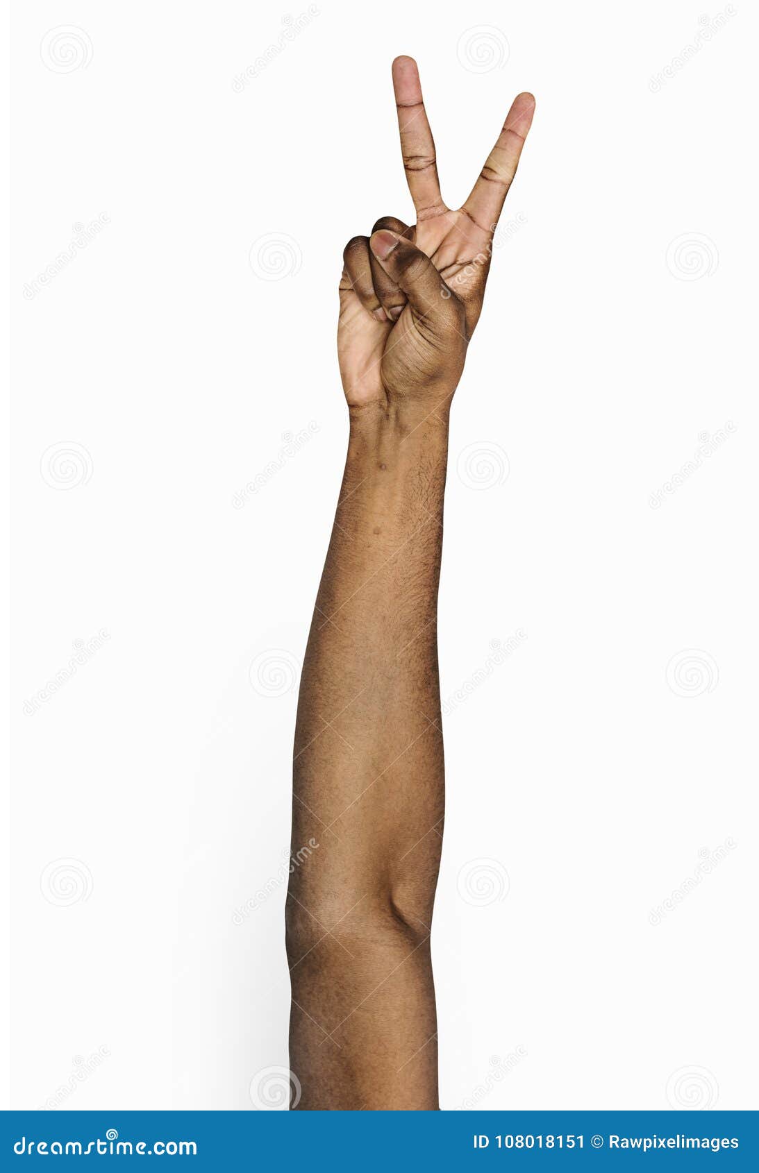Hand Gesture Isolated on White Background Stock Image - Image of ...