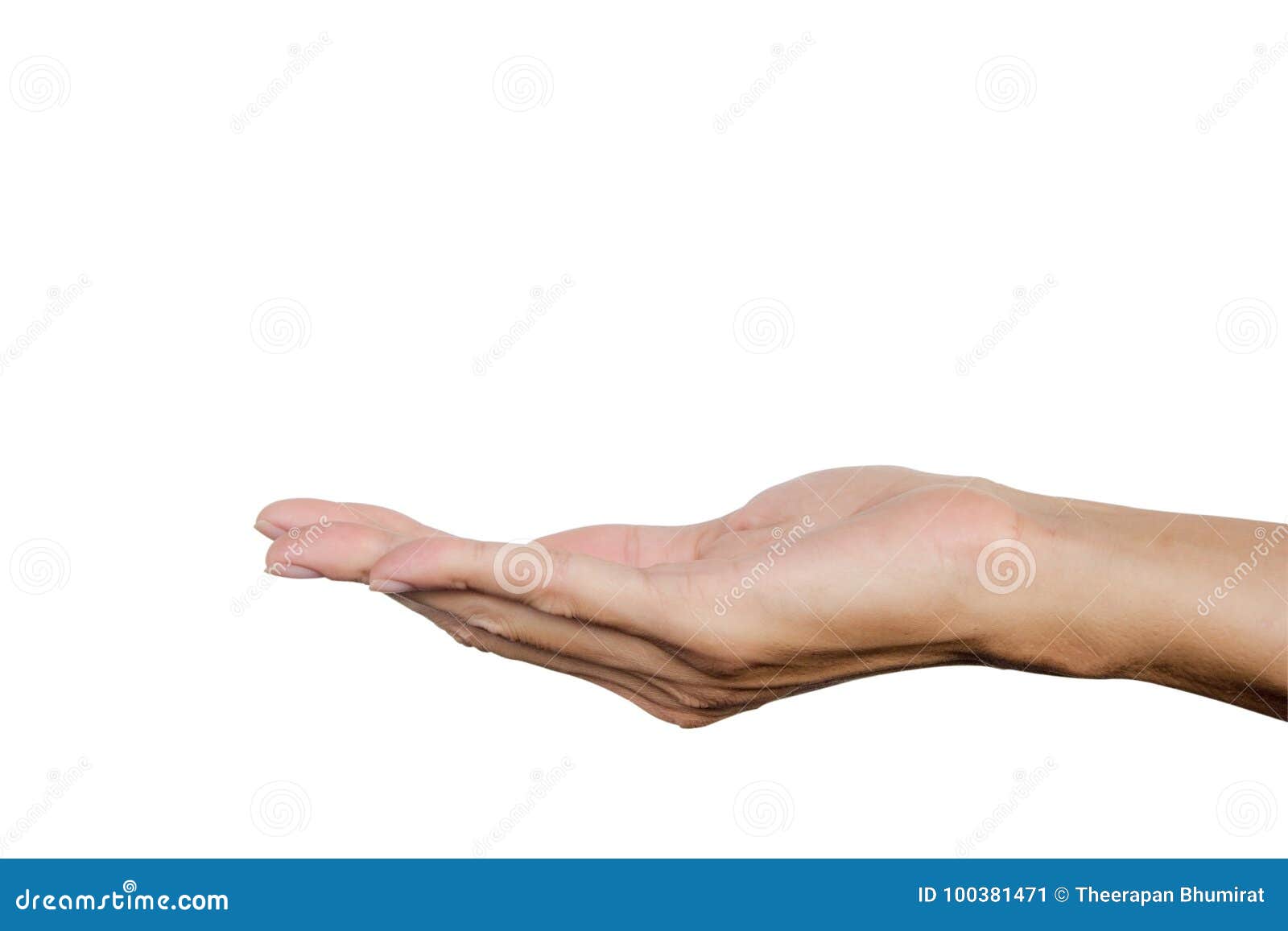 Something On The Palm Royalty-Free Stock Photography | CartoonDealer ...