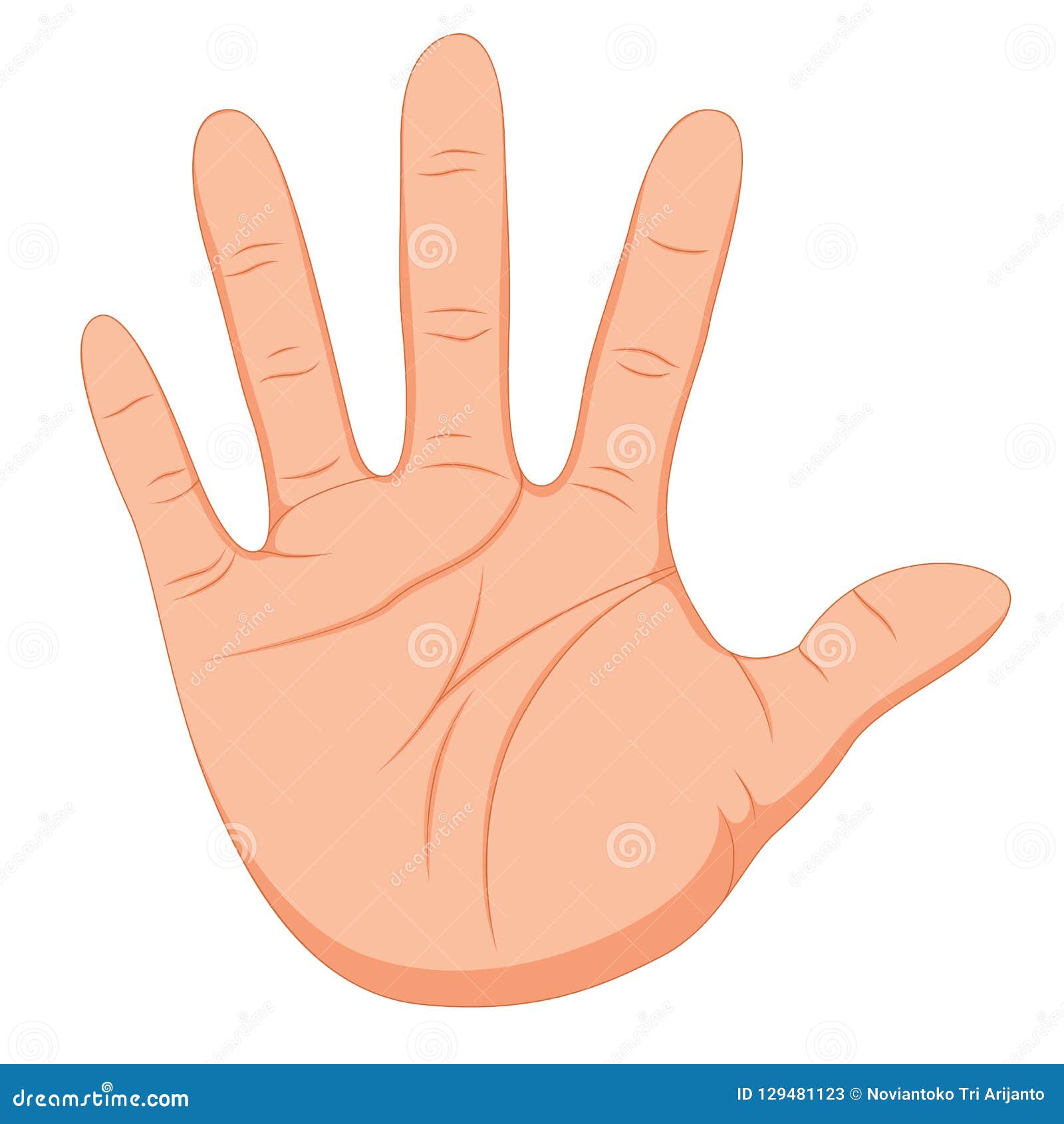 Hand Gesture with Smooth Skin Stock Vector - Illustration of attitude ...