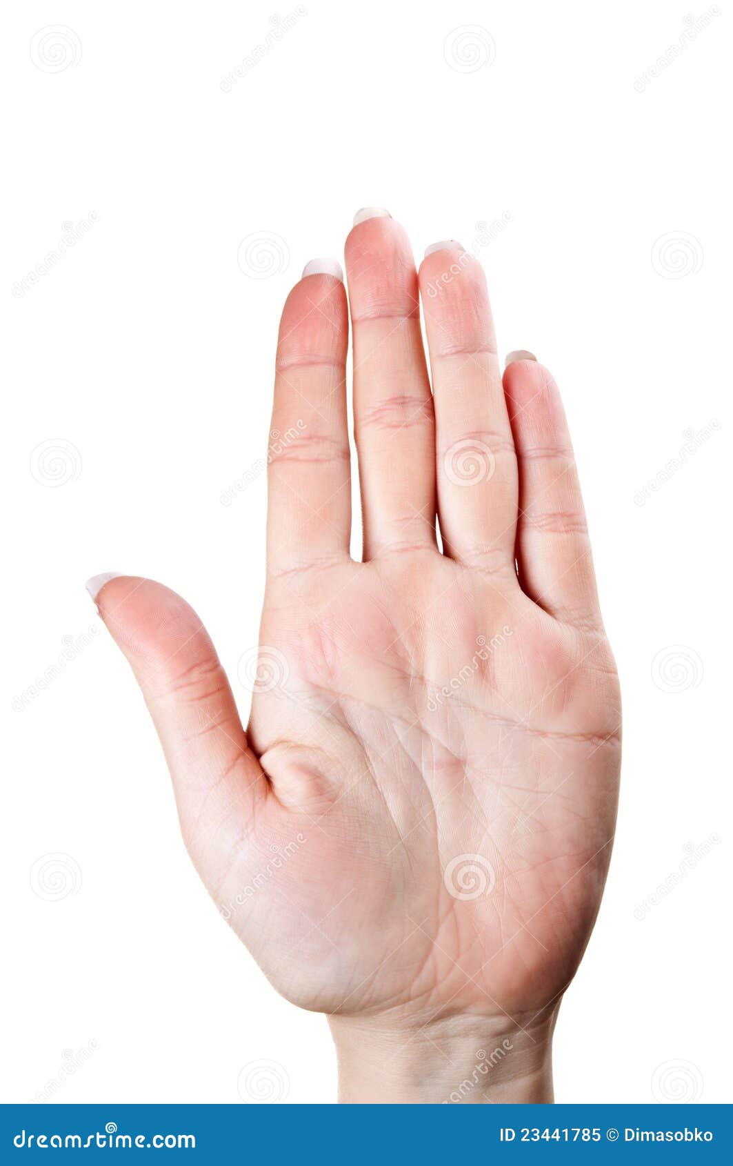Gesture Stop Stock Image | CartoonDealer.com #27960295