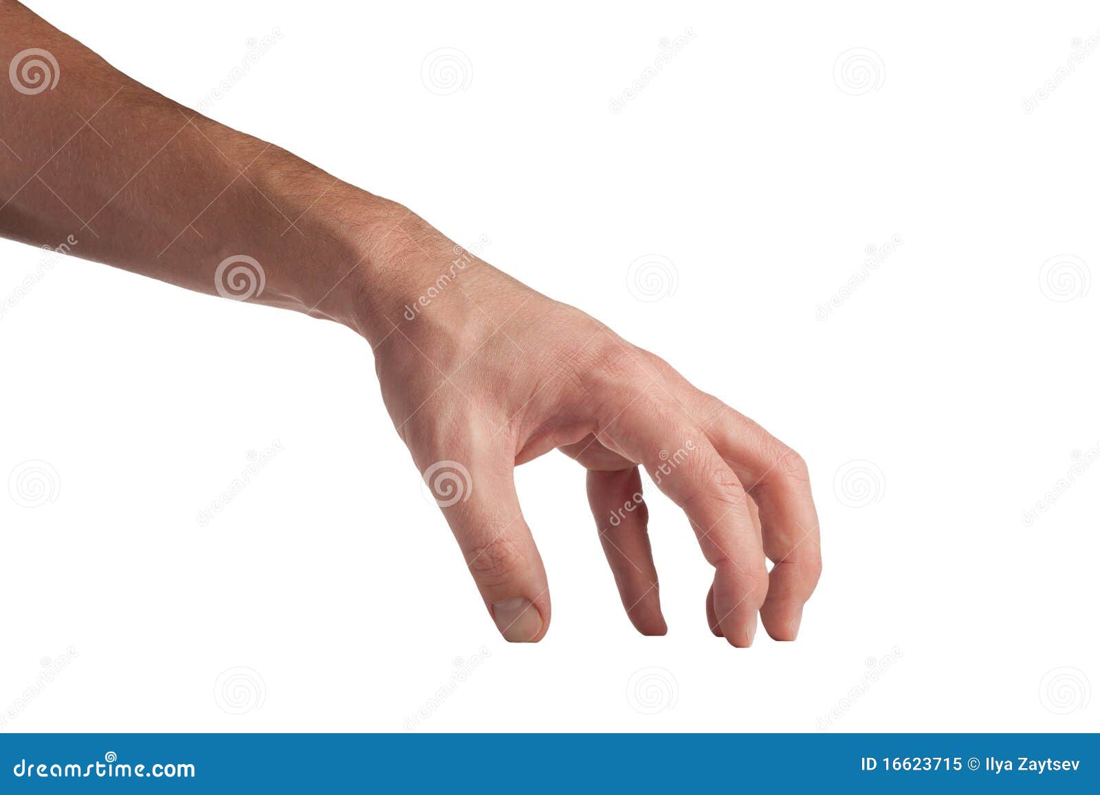 Hand gesture: taking stock image. Image of white, gesture - 16623715