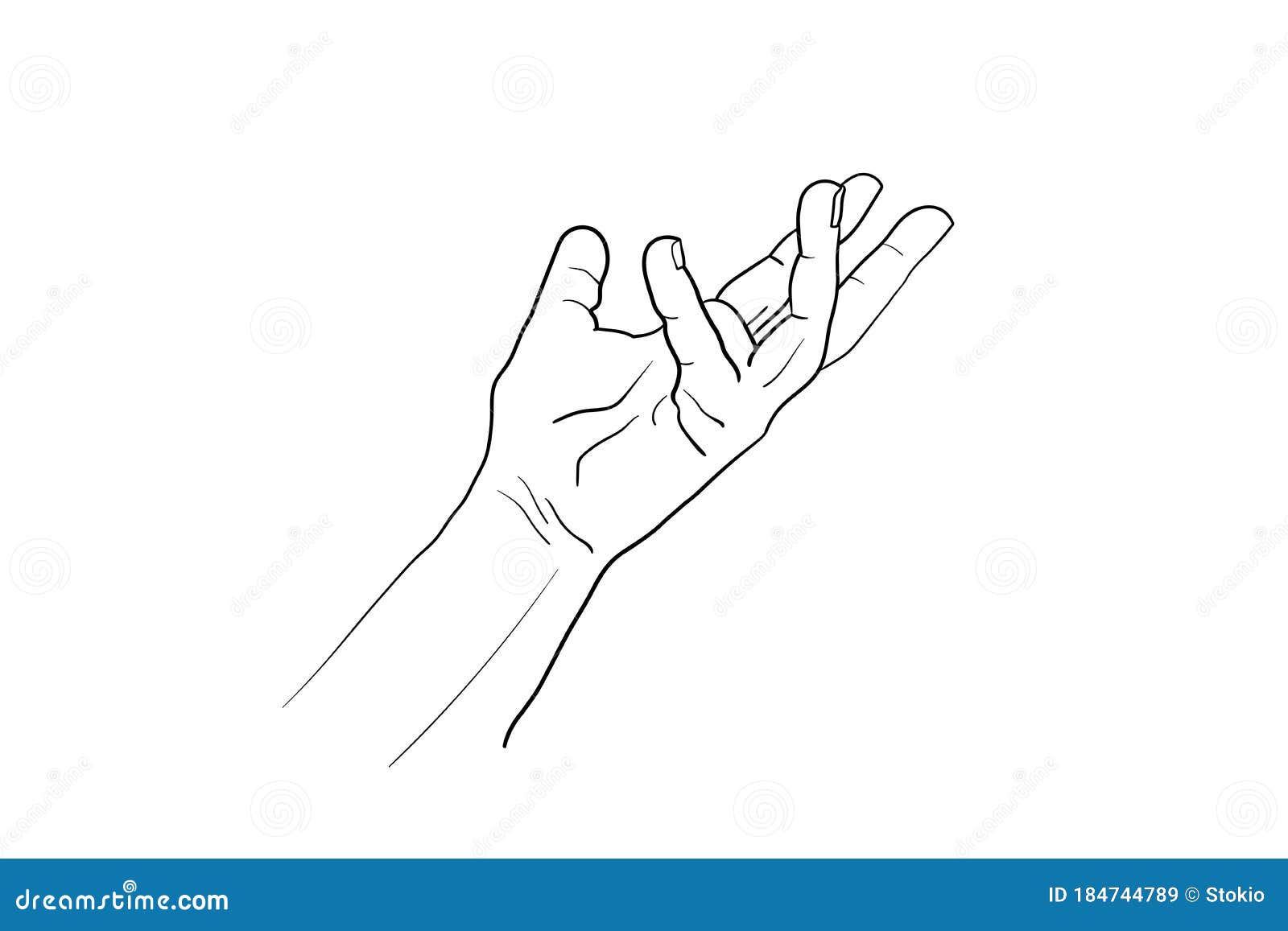 Hand Gesture Vector Sketch Collection. Body Language Concept. Hands ...
