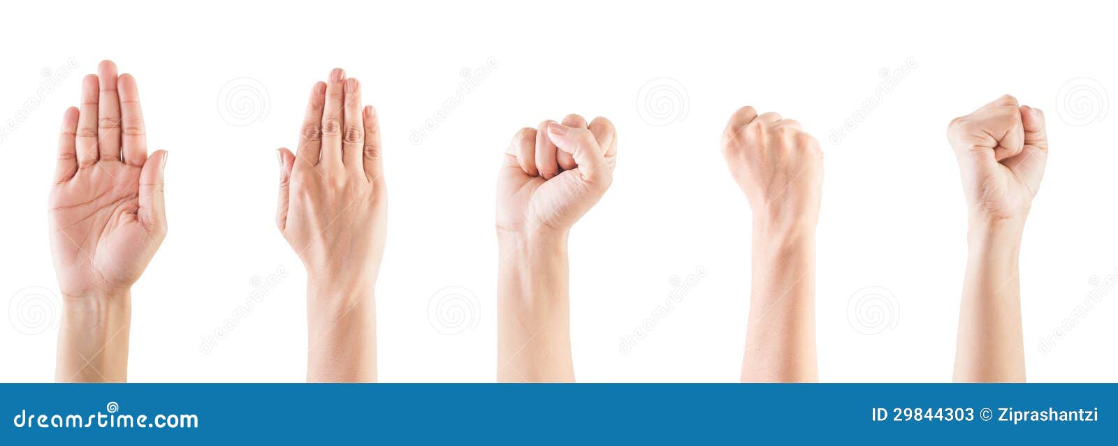 Hand gesture of woman stock image. Image of group, background - 29844303