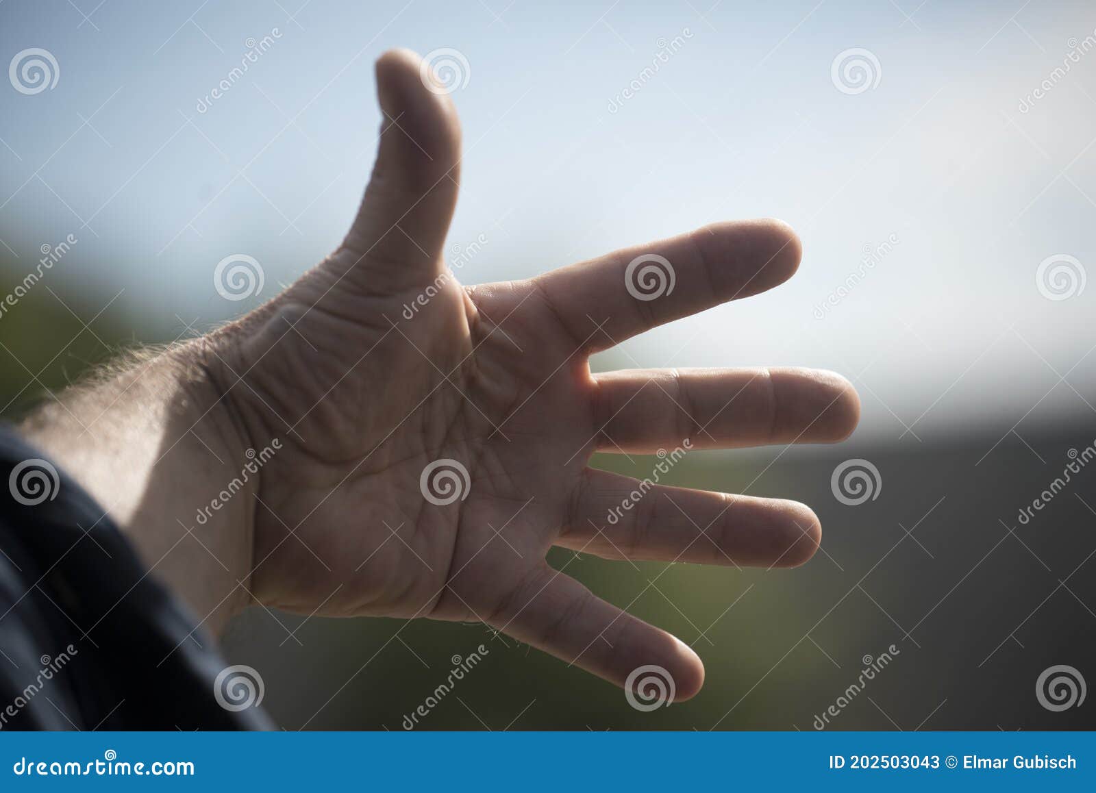 Hand Gestures in Body Language Stock Image - Image of interaction, hand ...