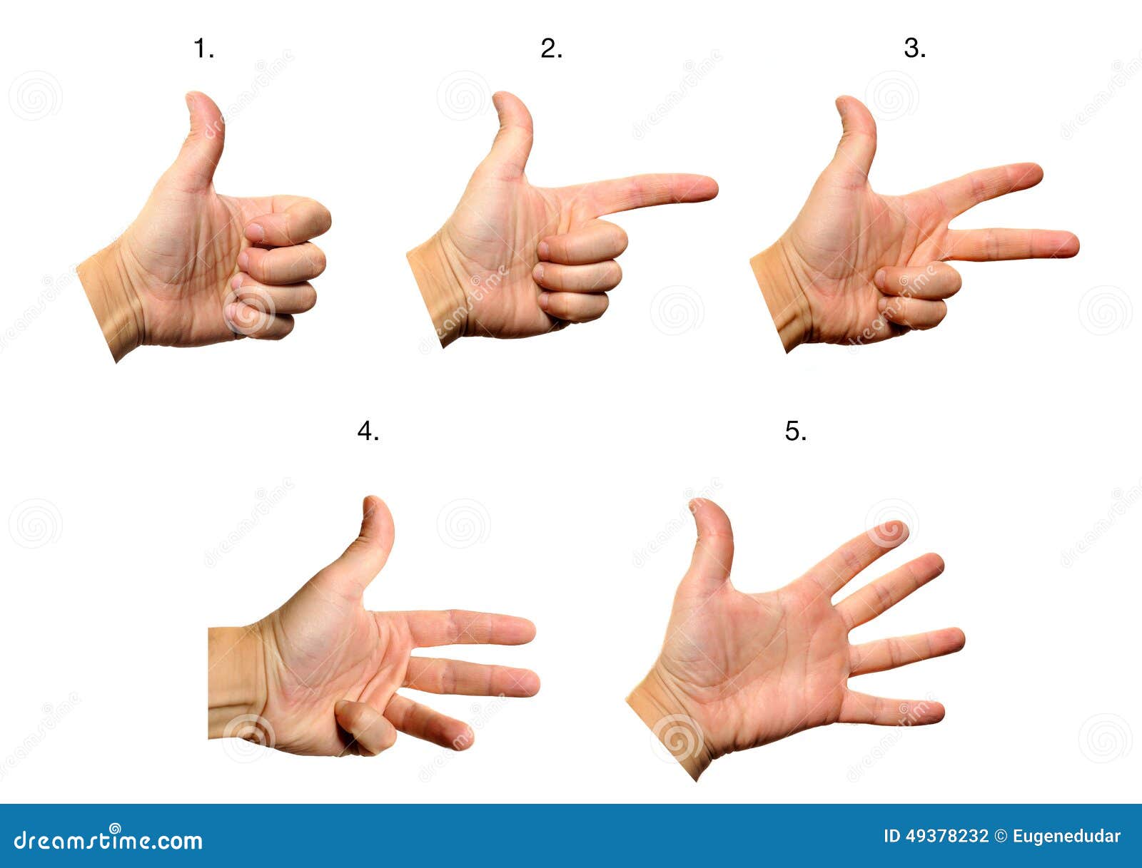 Hand Gestures. Show Counting from 1 To 5 Stock Photo - Image of index ...