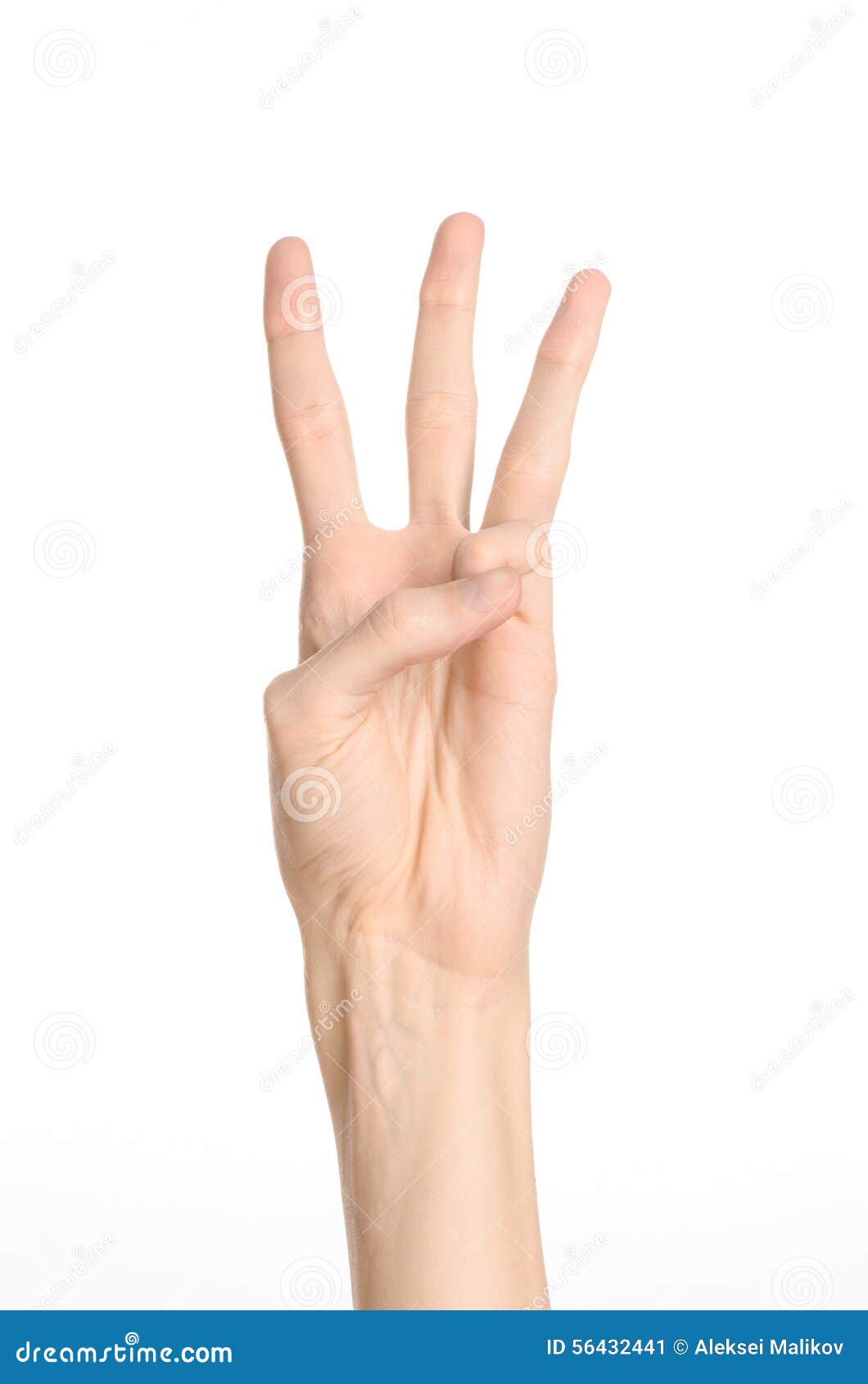 Hand Gestures Theme: the Human Hand Shows Gestures Isolated on White ...