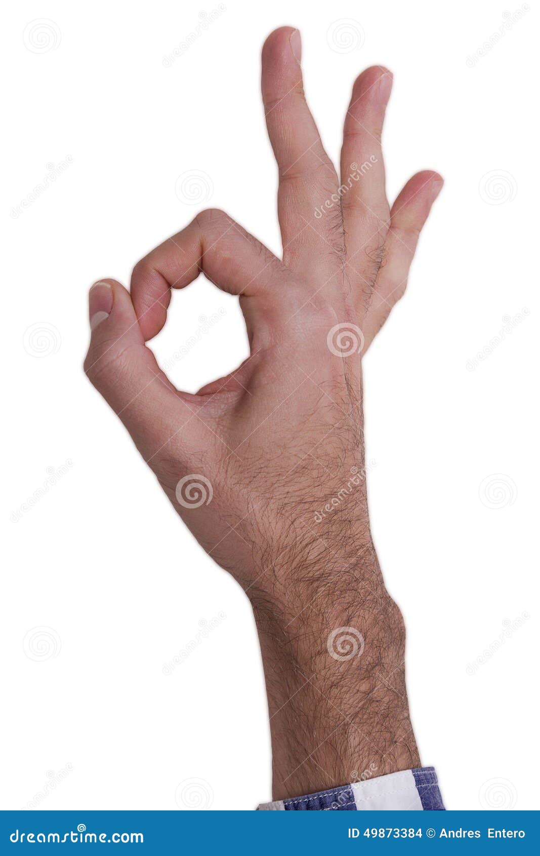 Hand gestures stock photo. Image of barrers, hills, flower - 49873384