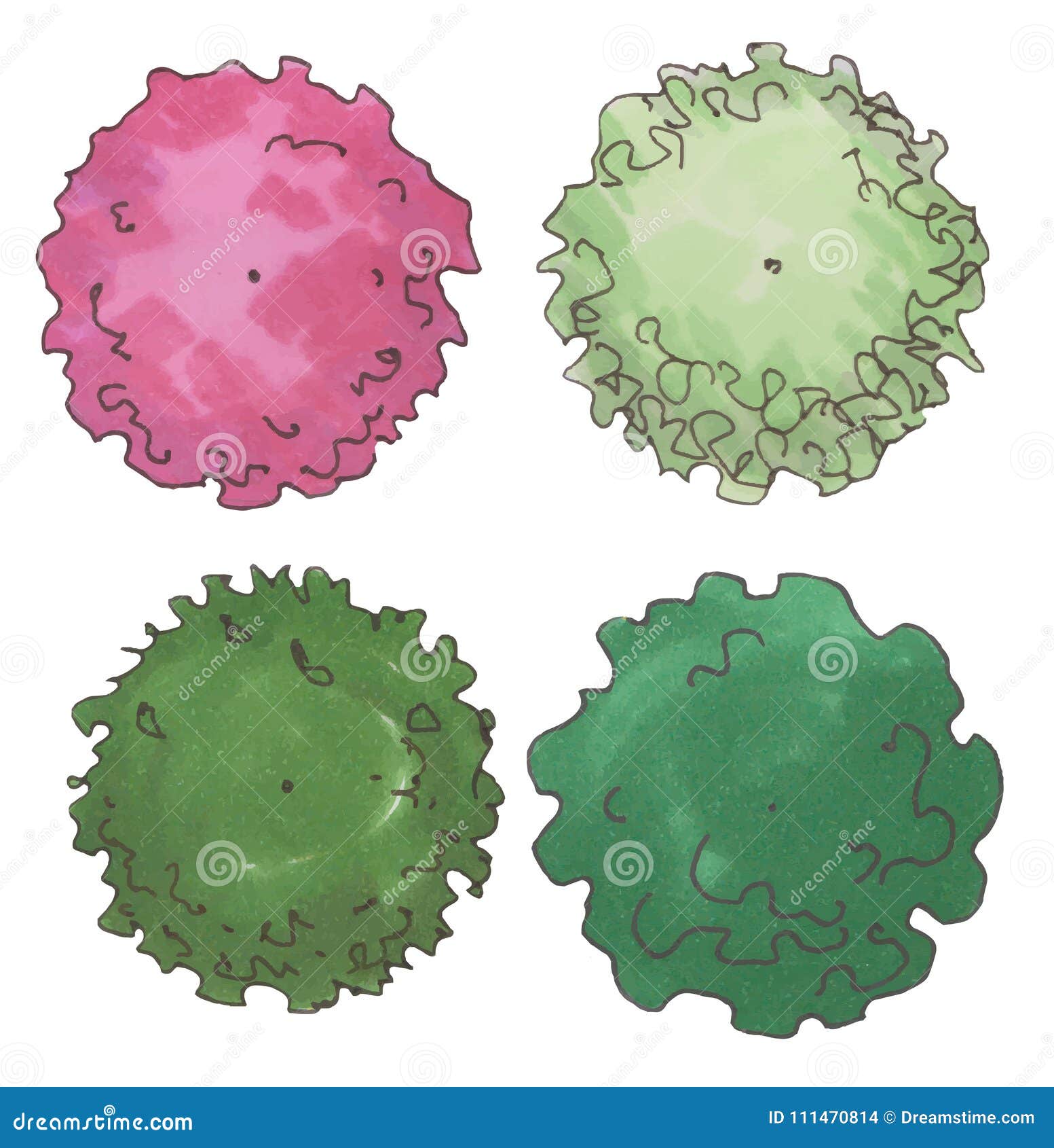 Hand Getrokken Boombovenkant, Bomen En Struiken, Vector Vector ...