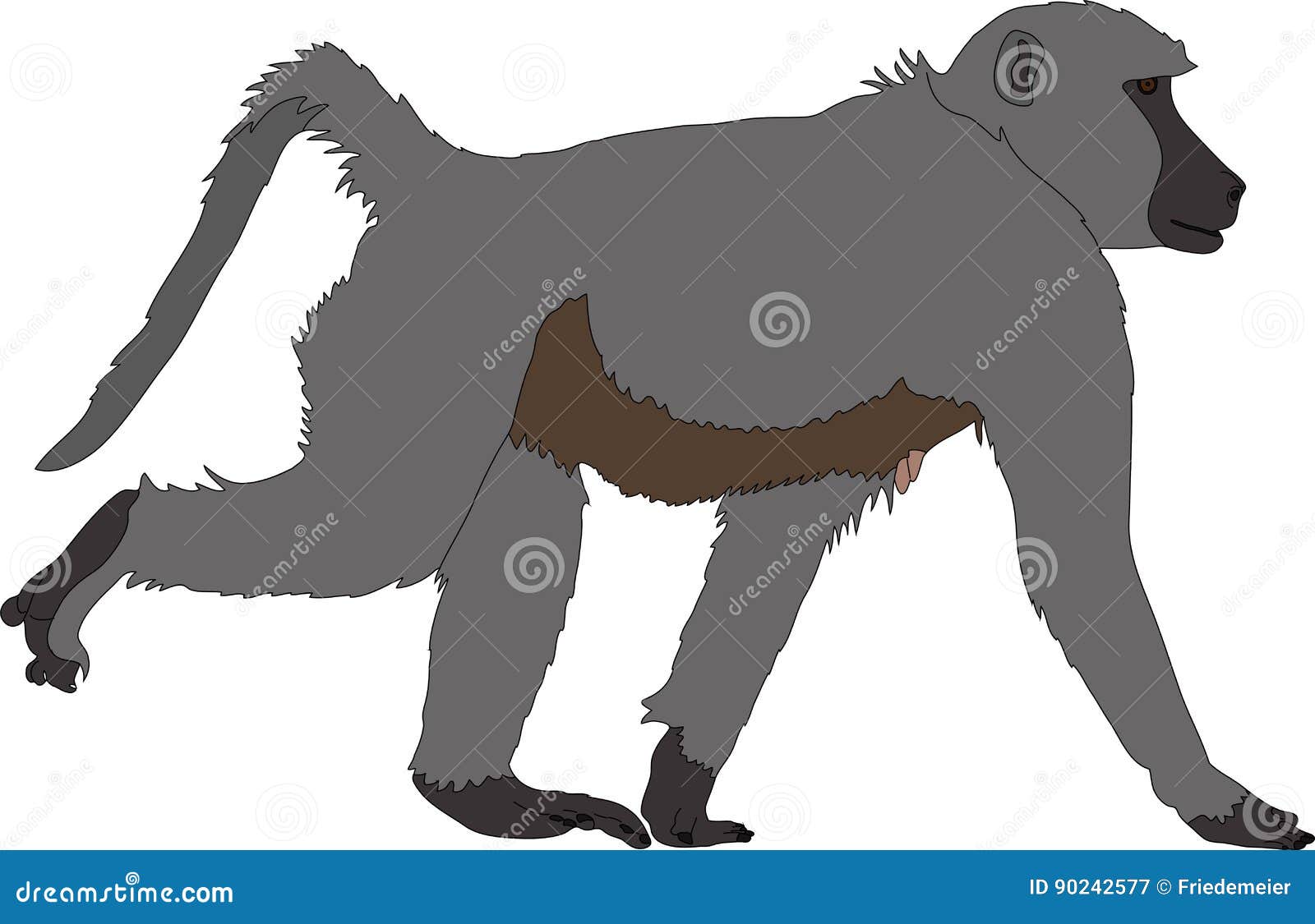 Hand Getrokken Portret Van Een Wilde Baviaan Vector Illustratie ...