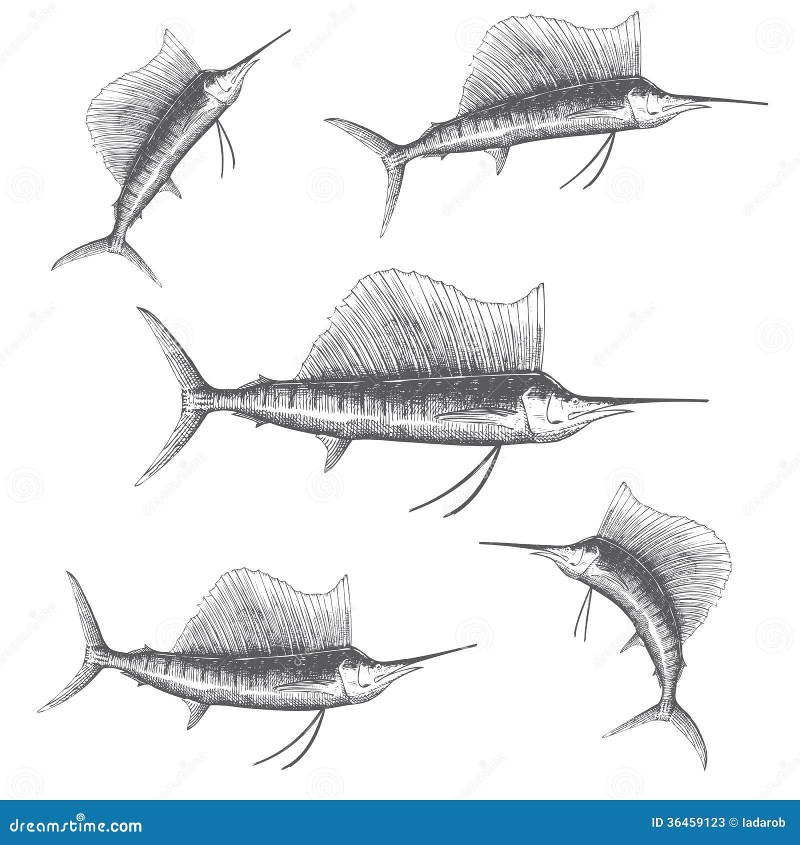 Hand Getrokken Zeilvis vector illustratie. Illustration of winkel ...