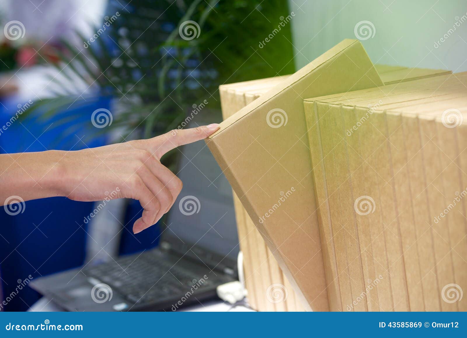 Hand Gets Folder from Row of Office Folders Stock Image - Image of file ...
