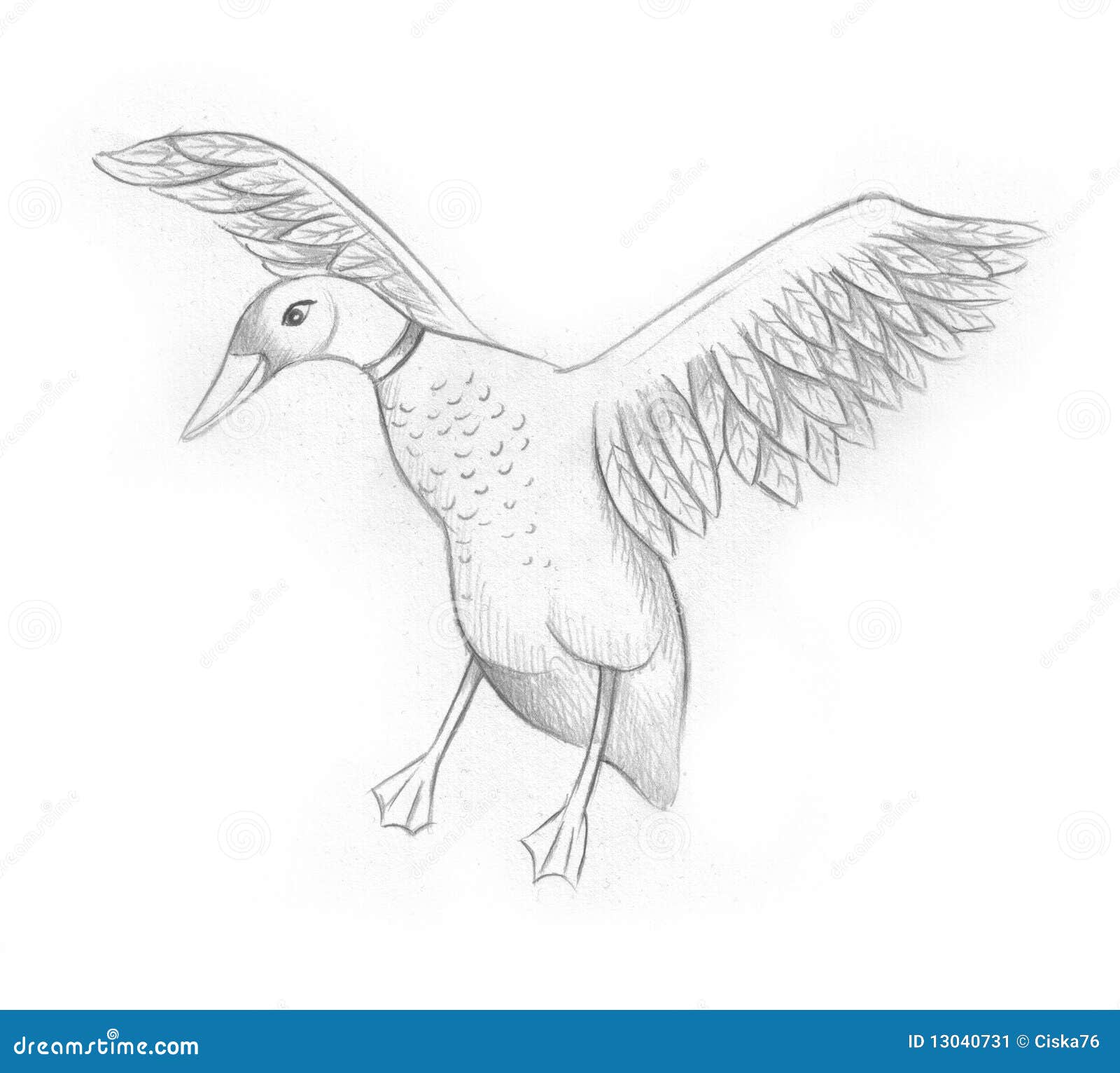 Hand gezeichnet - Ente stock abbildung. Illustration von flügel - 13040731