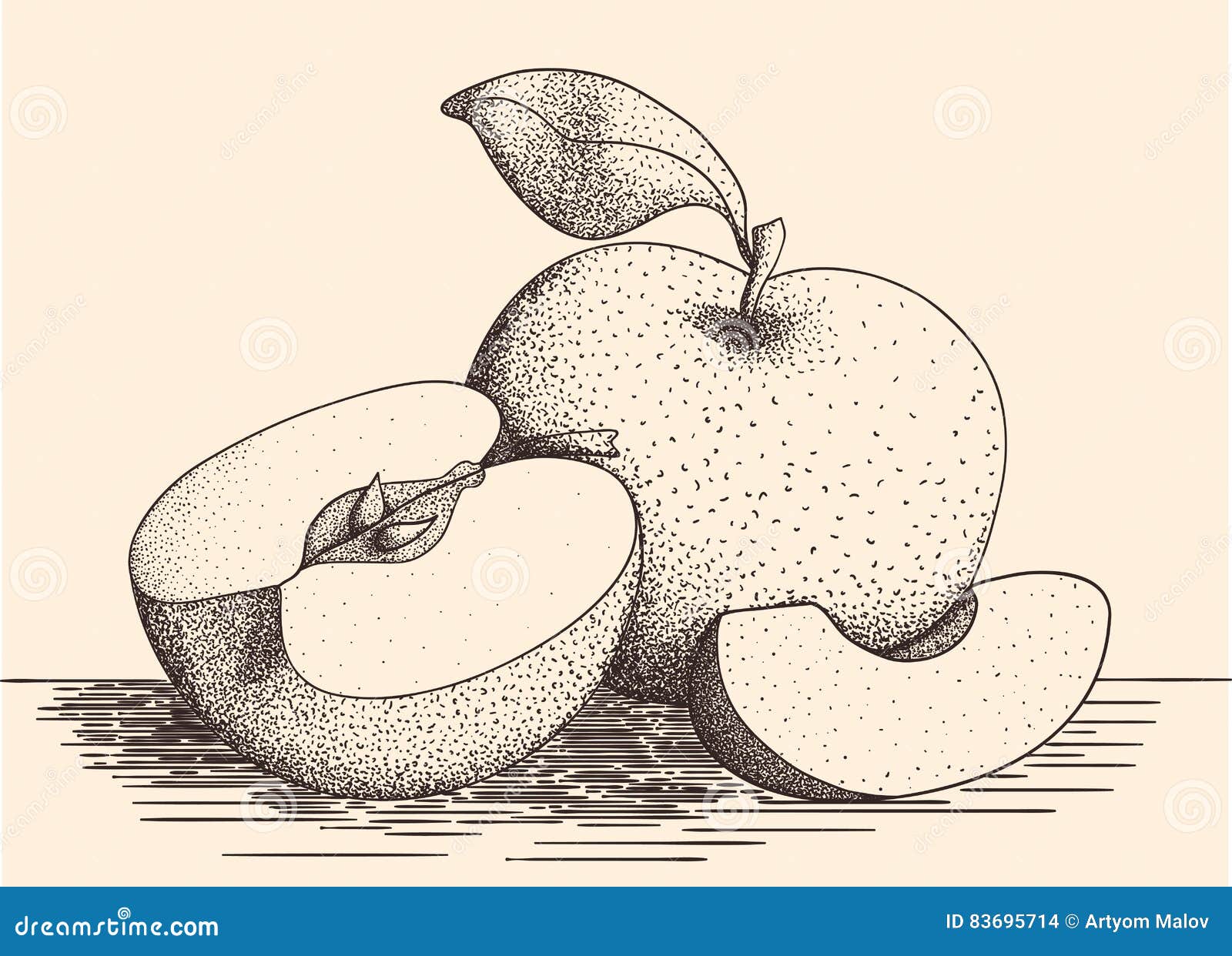 Hand gezeichnete Äpfel vektor abbildung. Illustration von saatgut ...