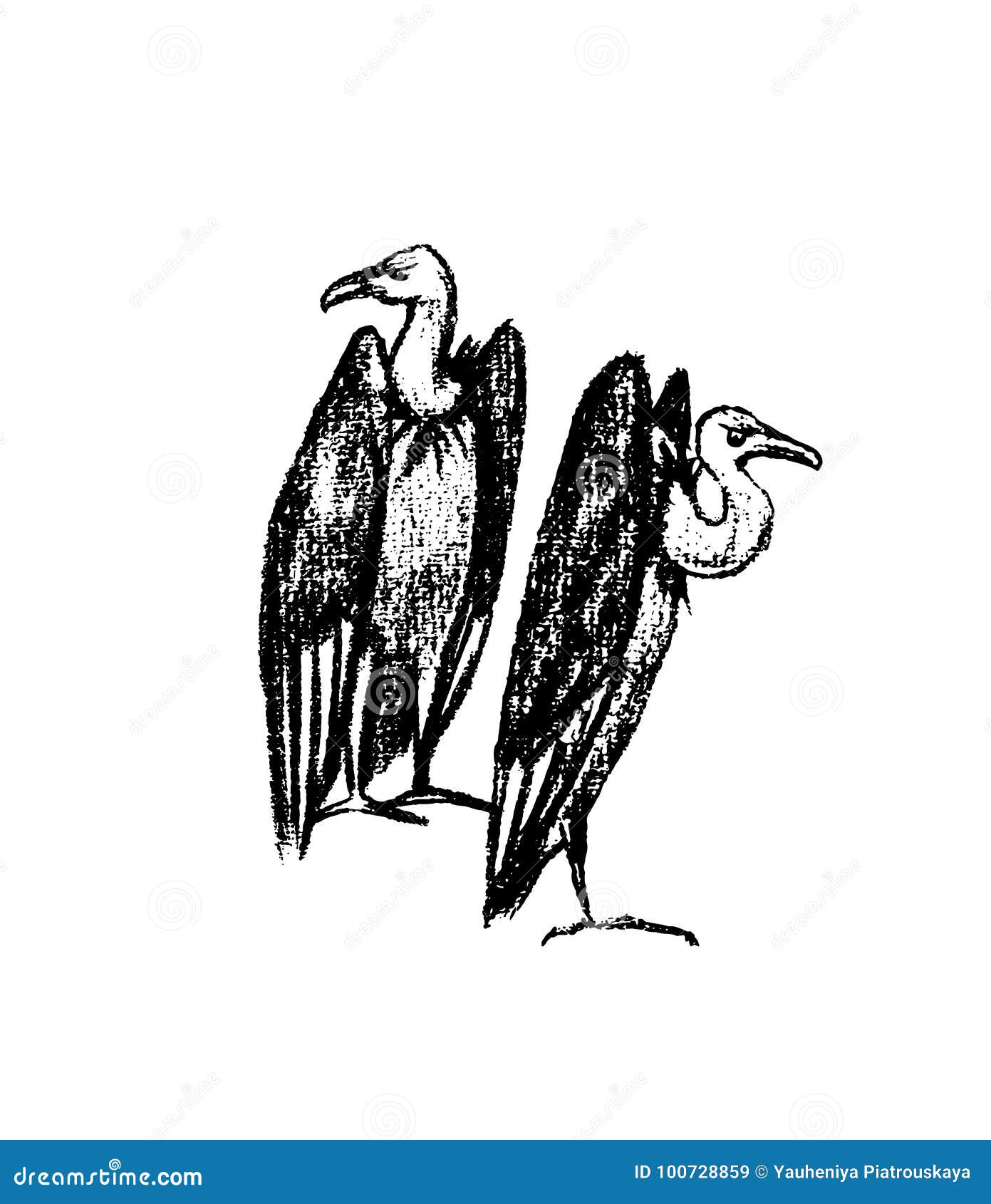 Hand gezeichnete Geier vektor abbildung. Illustration von halloween ...