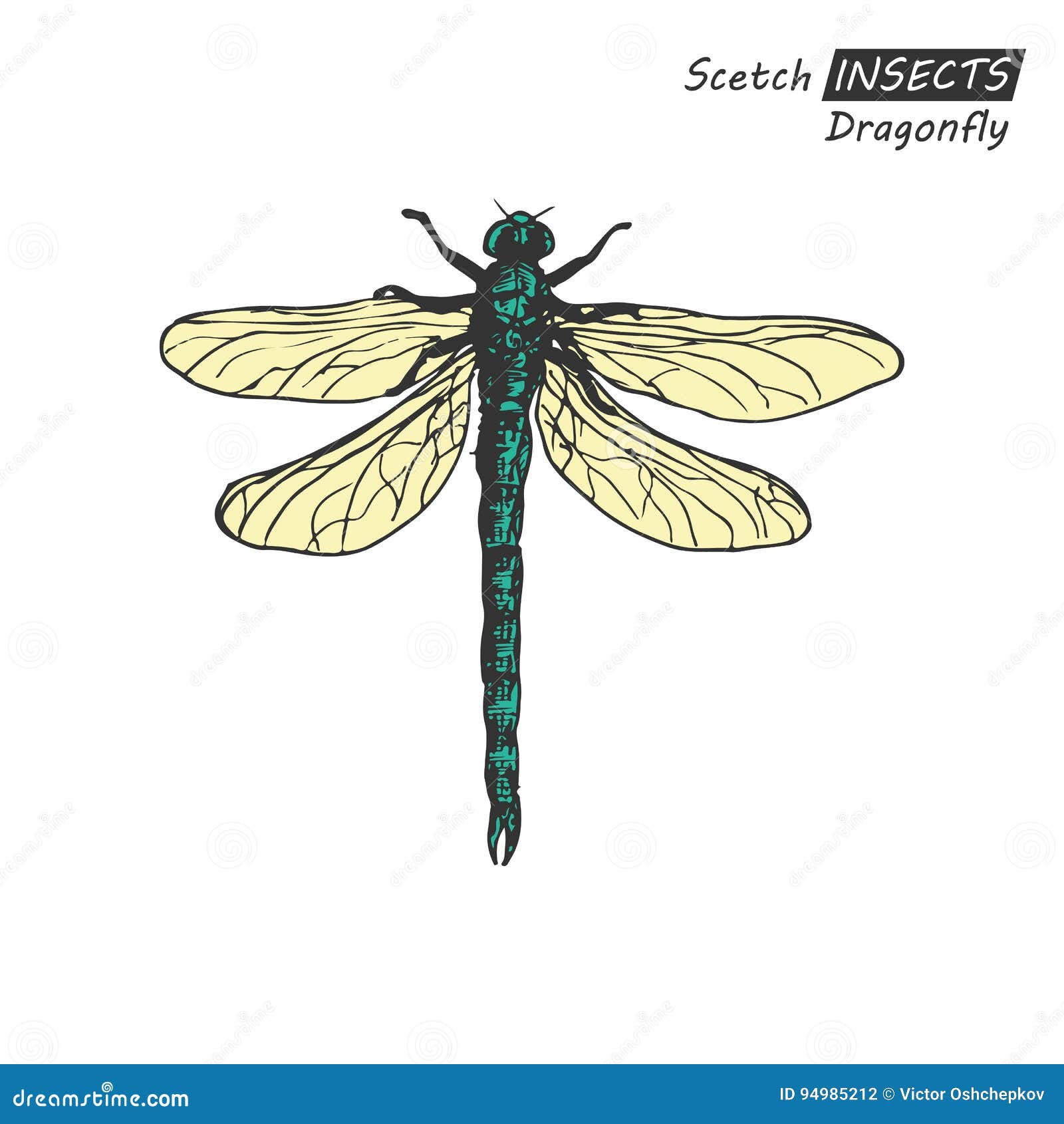 Hand gezeichnete Libelle vektor abbildung. Illustration von bild - 94985212