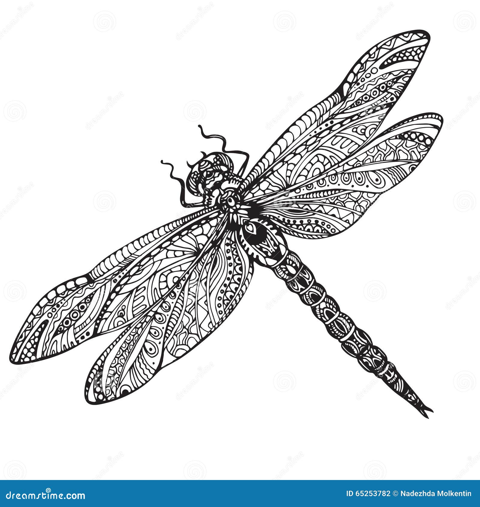 Hand Gezeichnete Libelle in Zentangle Art Vektor Abbildung ...