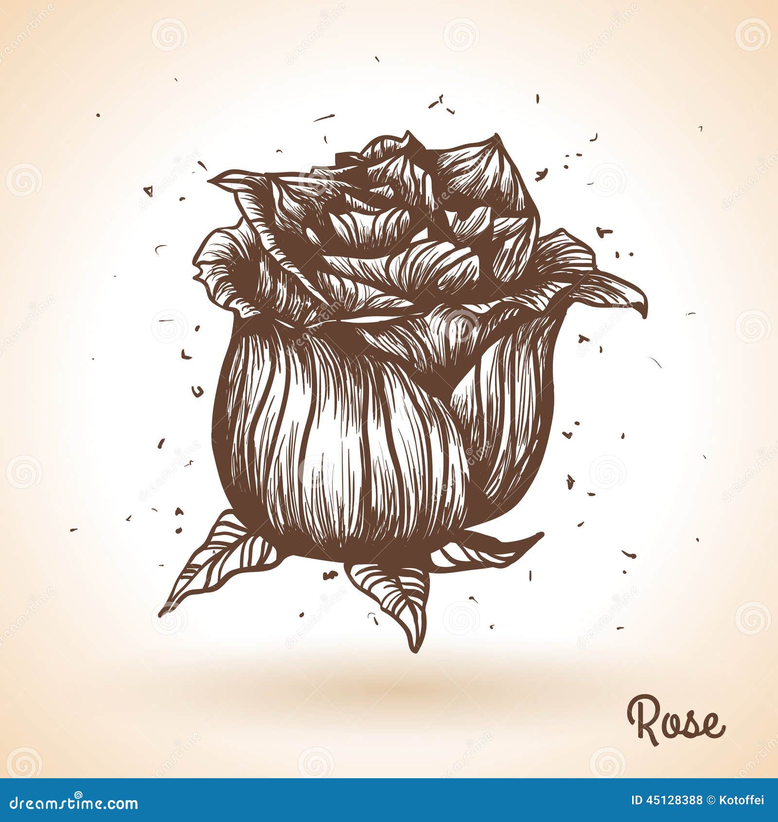 Hand gezeichnete Rose vektor abbildung. Illustration von nave - 45128388