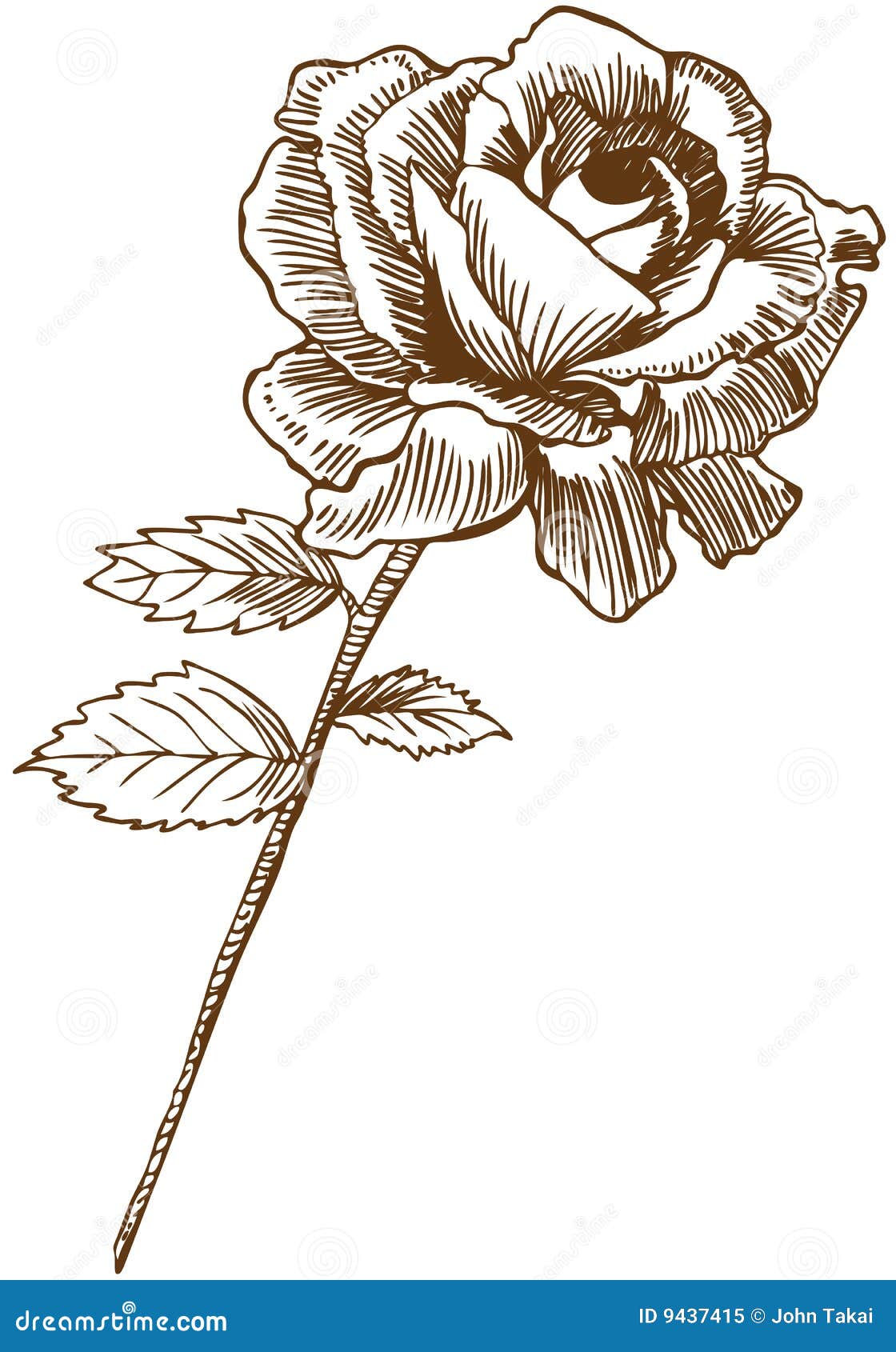 Hand gezeichnete Rose vektor abbildung. Illustration von tinte - 9437415