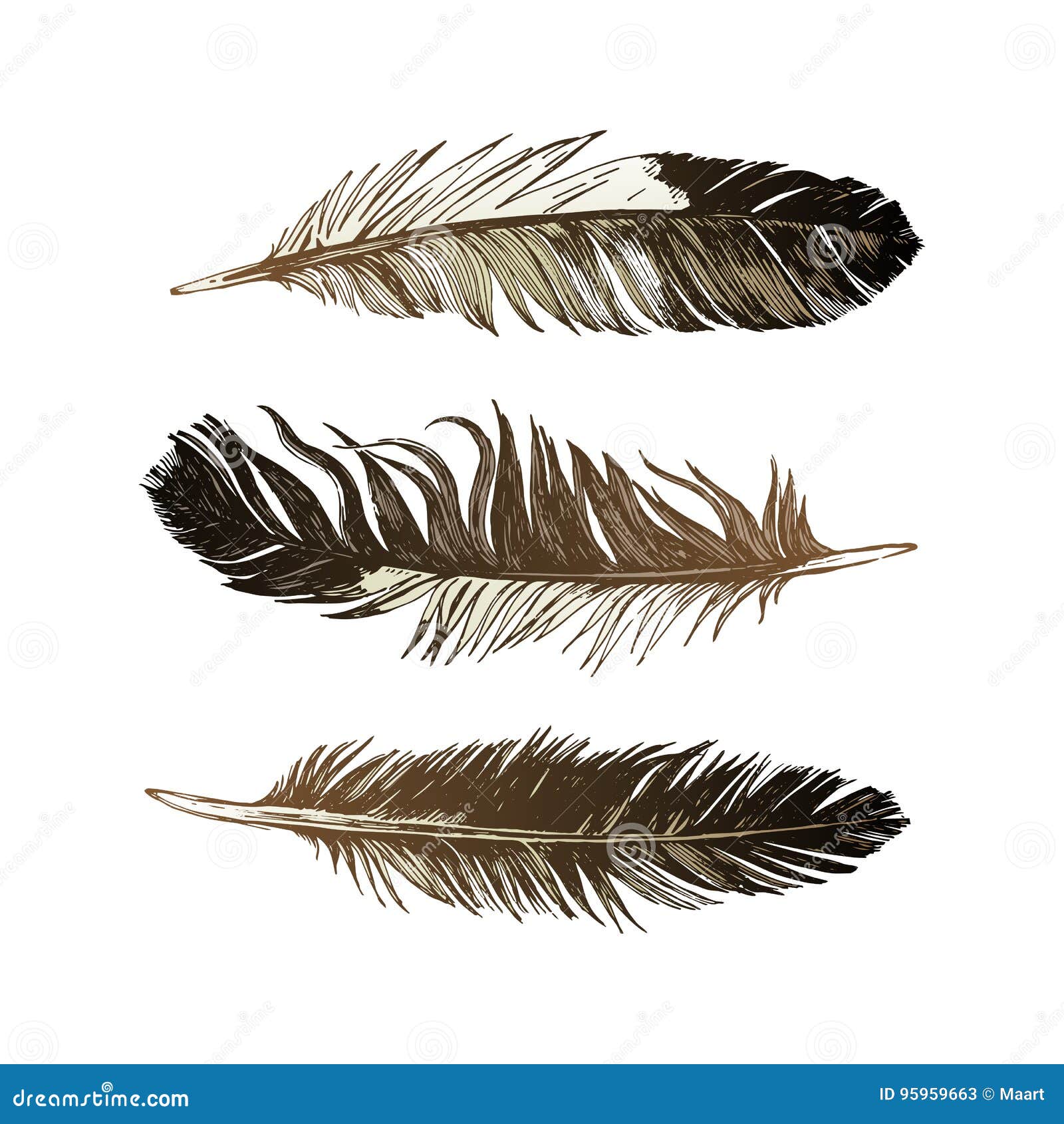 3 Hand Gezeichnete Schwarzweiss-Federn Vektor Abbildung - Illustration ...