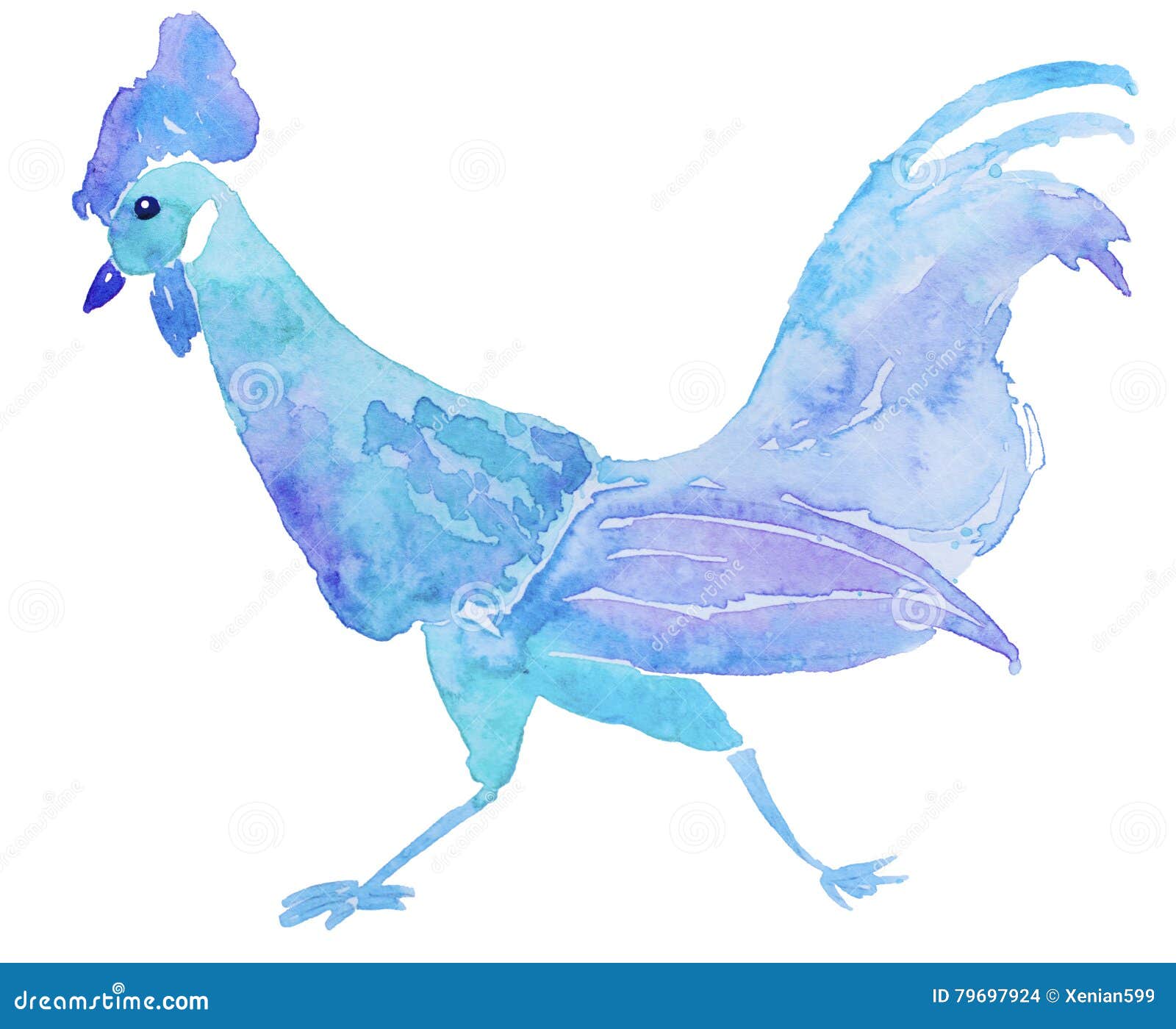 Hand gezeichneter Hahn stockfoto. Illustration von hahn - 79697924