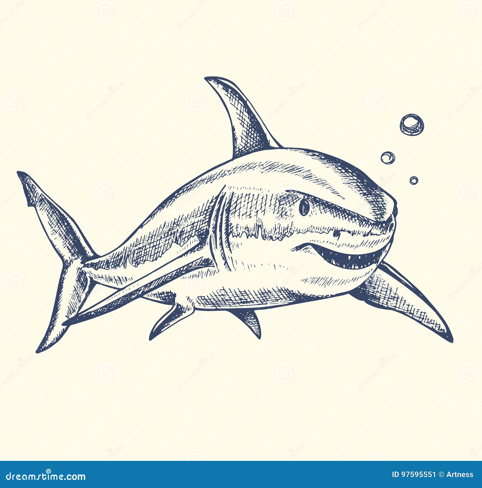 Hand gezeichneter Haifisch vektor abbildung. Illustration von weinlese ...