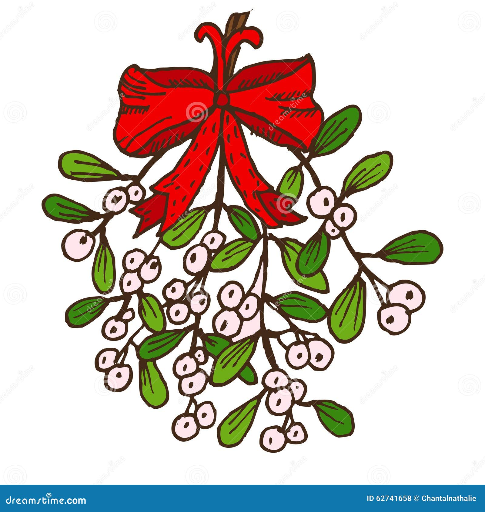 Hand Gezeichneter Mistelzweig Vektor Abbildung - Illustration von dekor ...