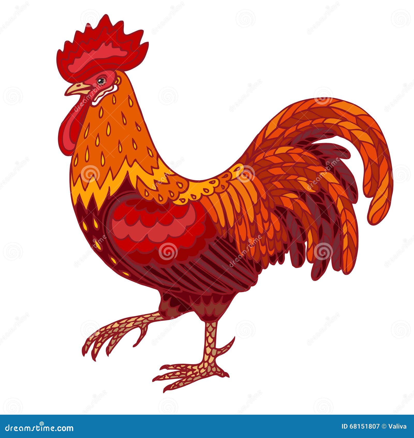 Hand Gezeichneter Roter Hahn Vektor Abbildung - Illustration von hand ...