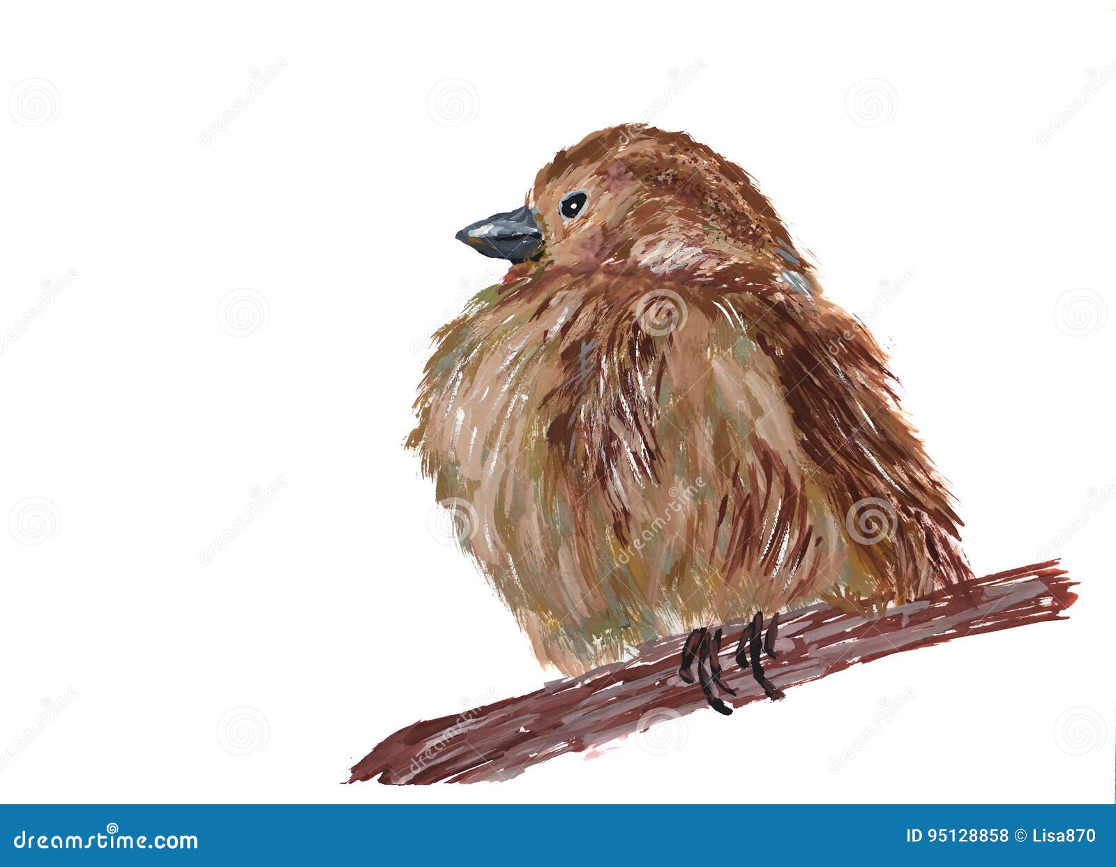 Hand Gezeichneter Spatz Auf Weißem Hintergrund Stock Abbildung ...