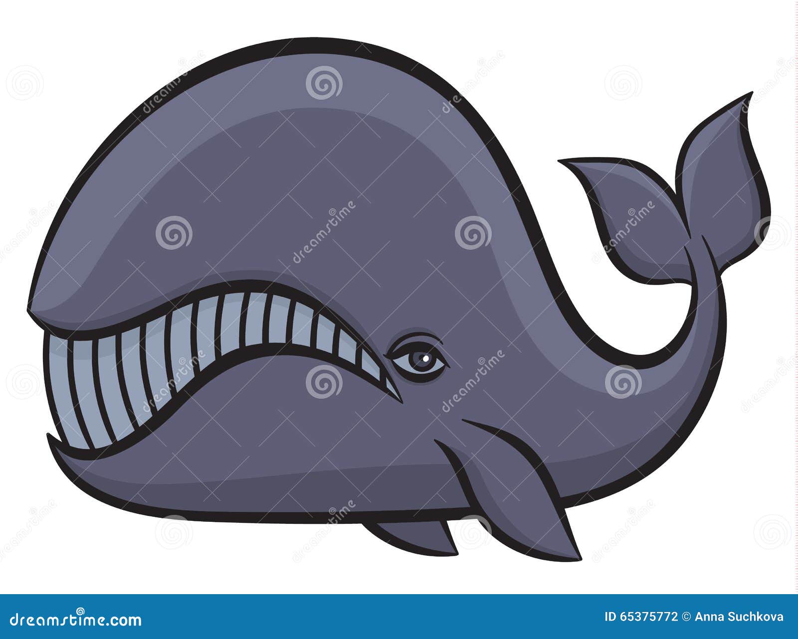 Hand gezeichneter Wal vektor abbildung. Illustration von kind - 65375772