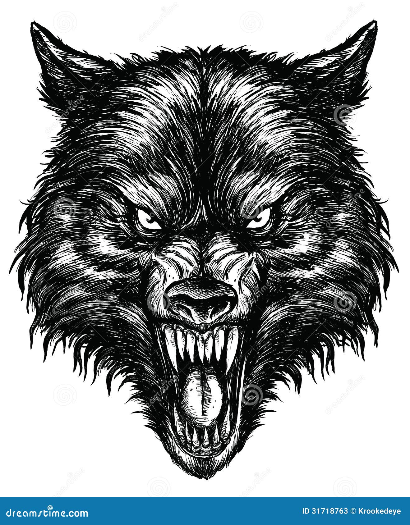 Hand Gezeichneter Wolf Linework Vector Vektor Abbildung - Illustration ...