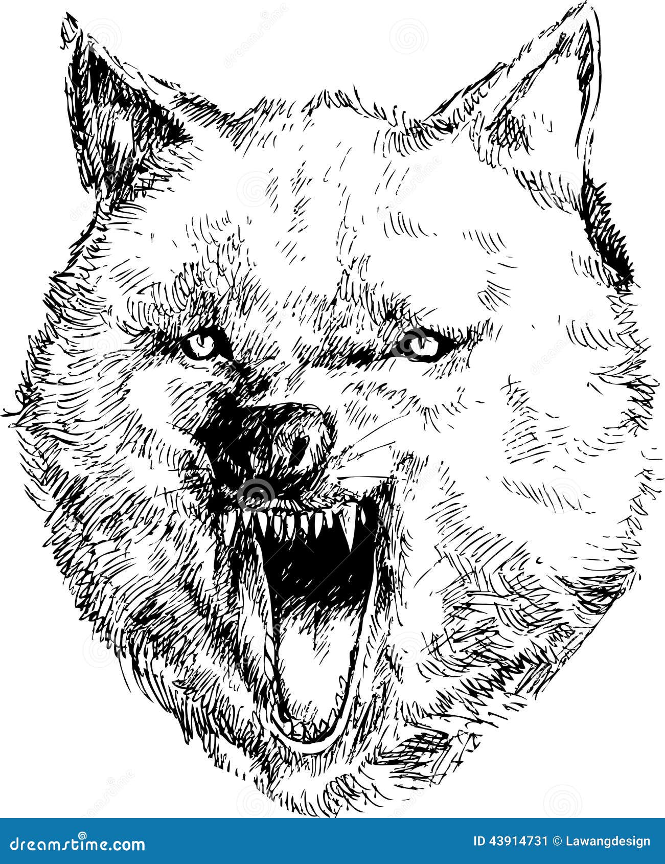 Hand gezeichneter Wolfkopf vektor abbildung. Illustration von radierung ...