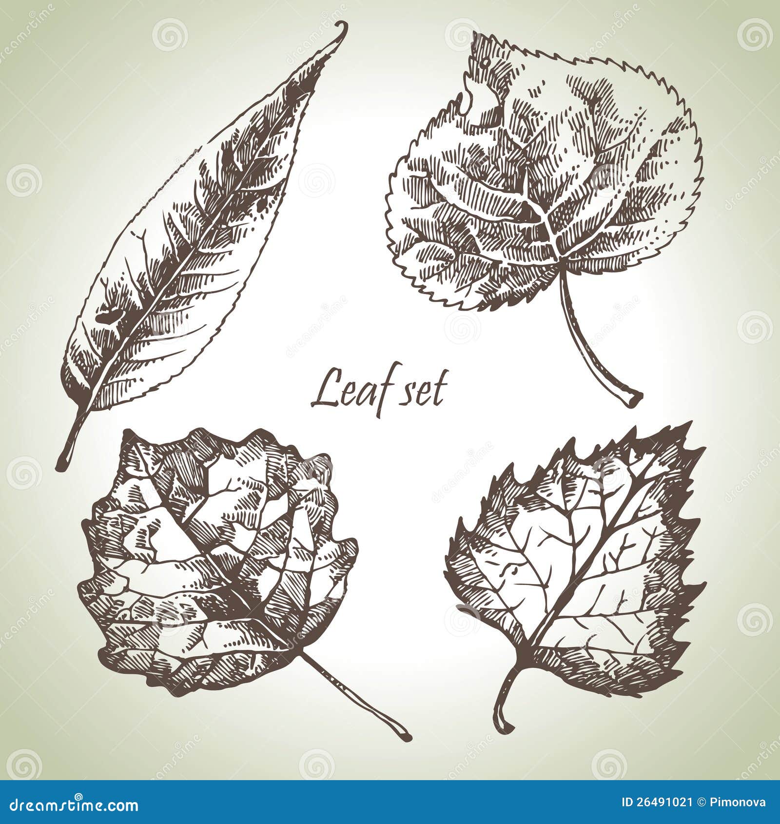 Hand gezeichnetes Blattset vektor abbildung. Illustration von schmutz ...
