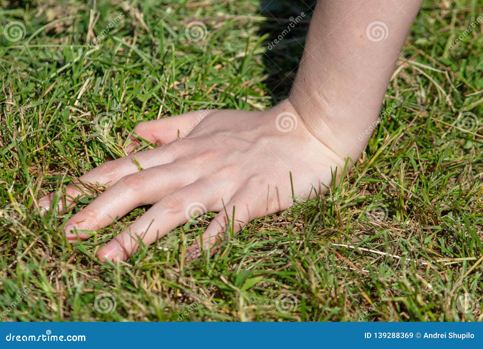 Hand on the Girl on the Grass Stock Image - Image of close, hand: 139288369