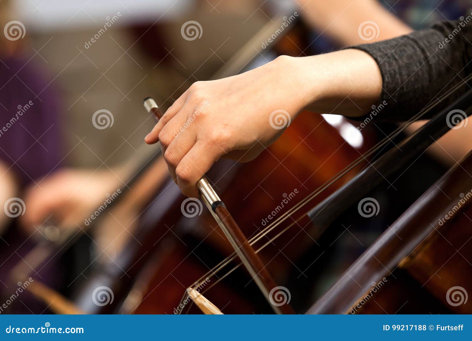 Hand of a Girl Playing a Cello Stock Photo - Image of harmony ...