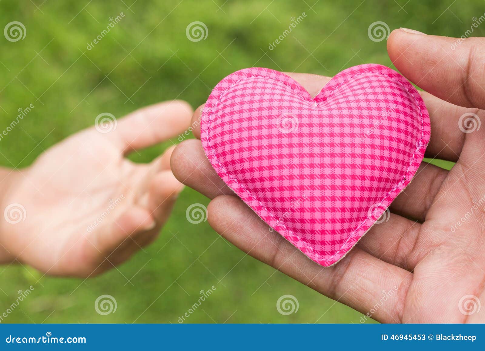Hand Give Water Tree In The Hands Of Trees Growing Seedlings. Bokeh ...