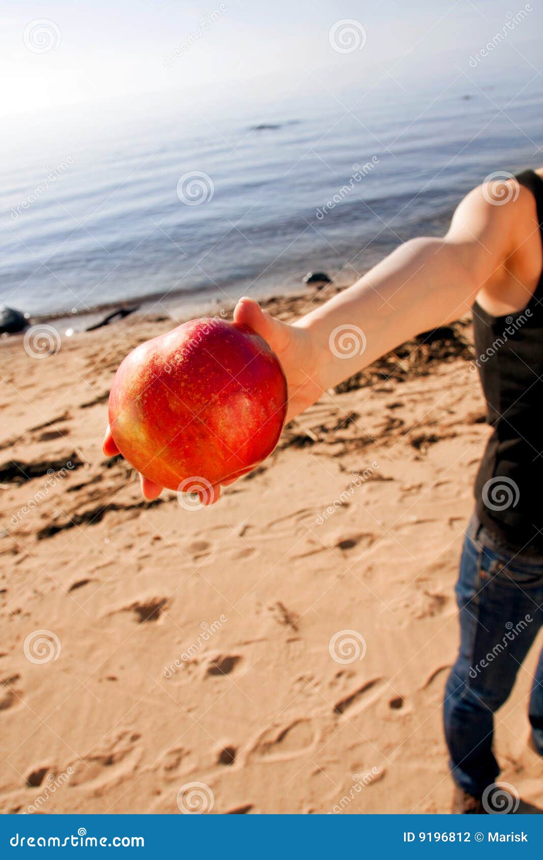 Hand giving apple at beach stock photo. Image of hand - 9196812