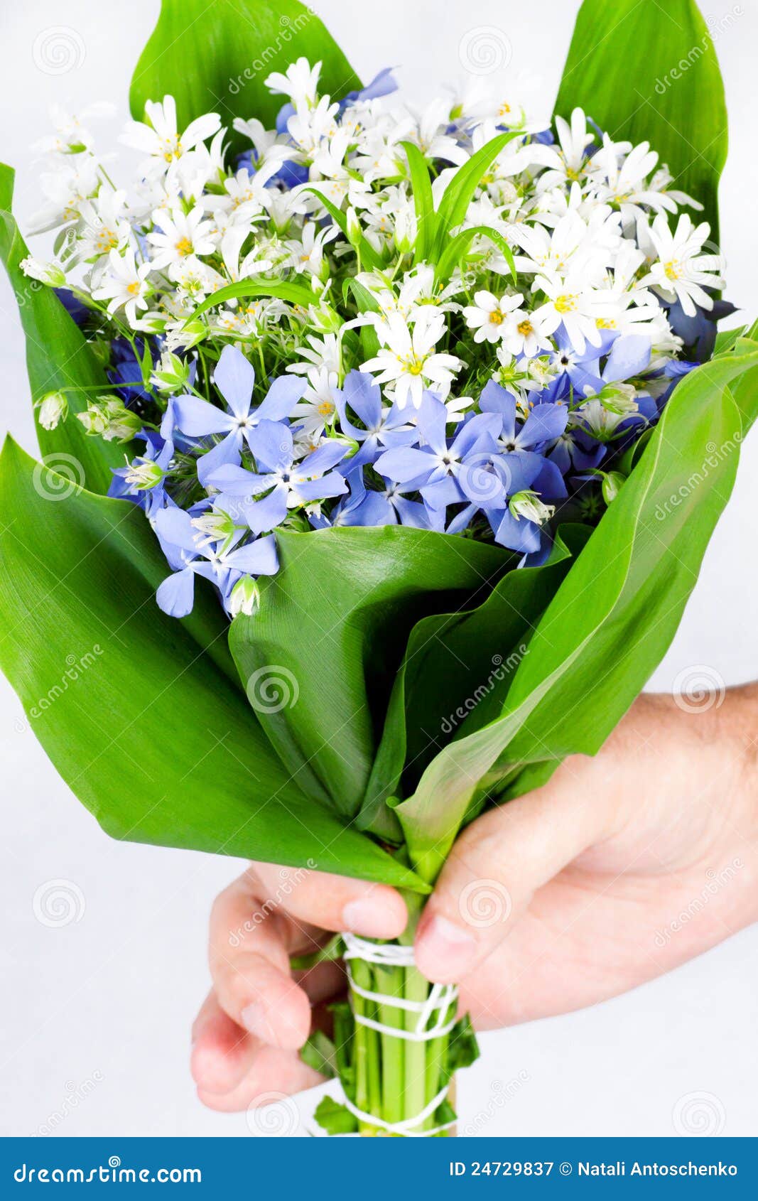 Hand Giving a Bouquet of Spring Flowers Stock Image - Image of botany ...