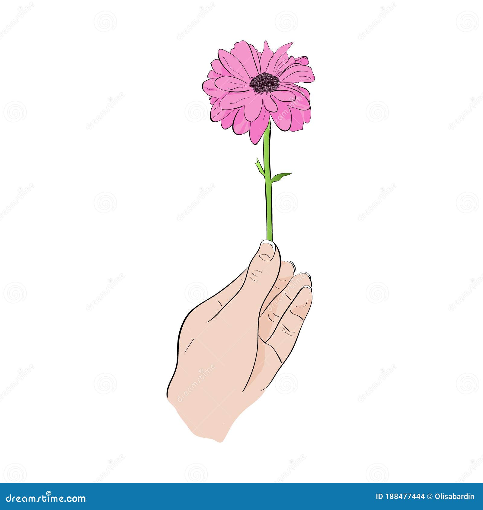 Hand Giving a Flower. Vector Illustration Stock Vector - Illustration ...