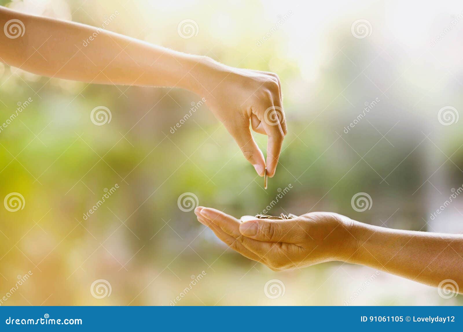 Hand Giving Money for Investment Stock Image - Image of business, loan ...
