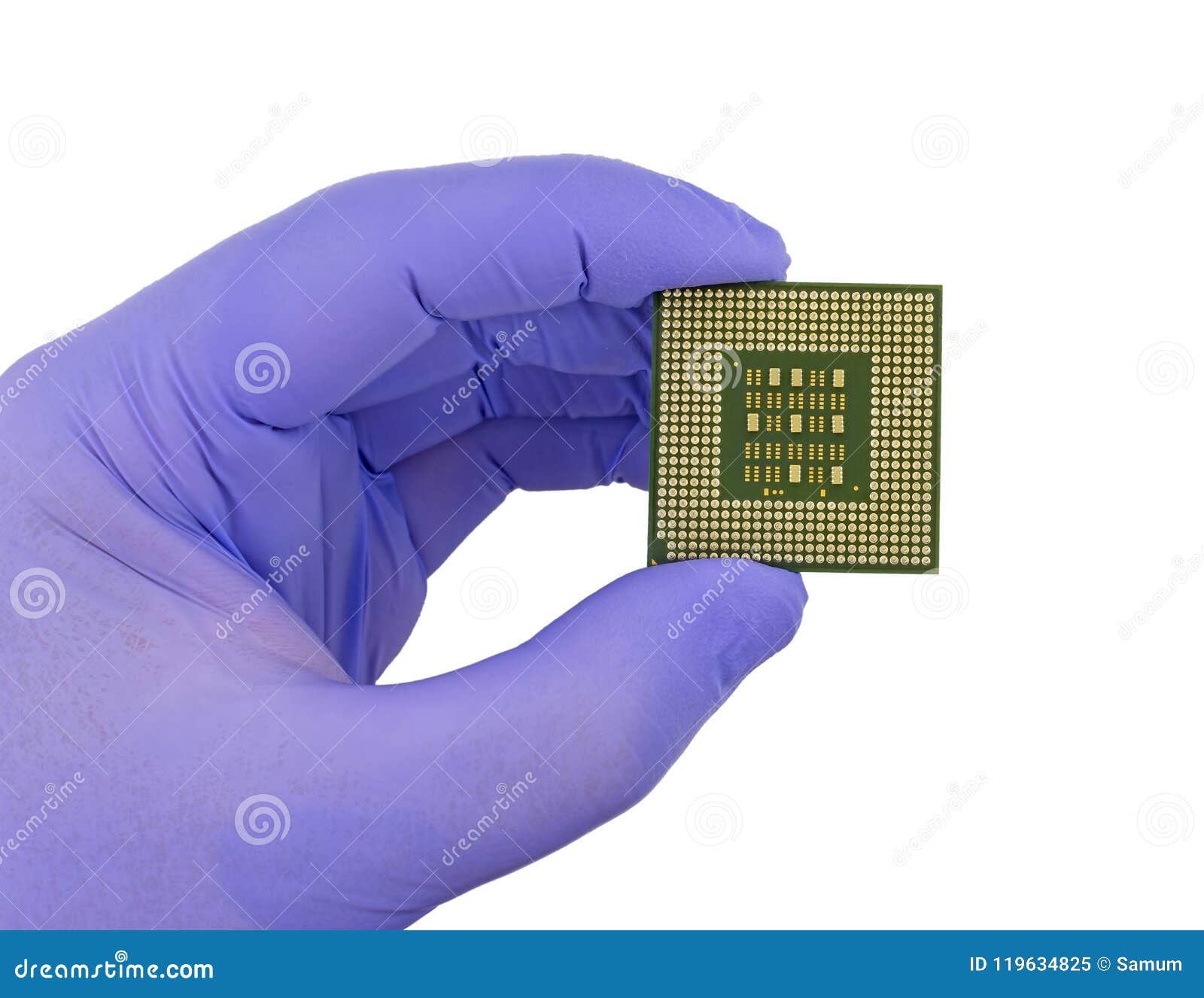 Cpu Isolated On White Background Stock Image Image Of Equipment